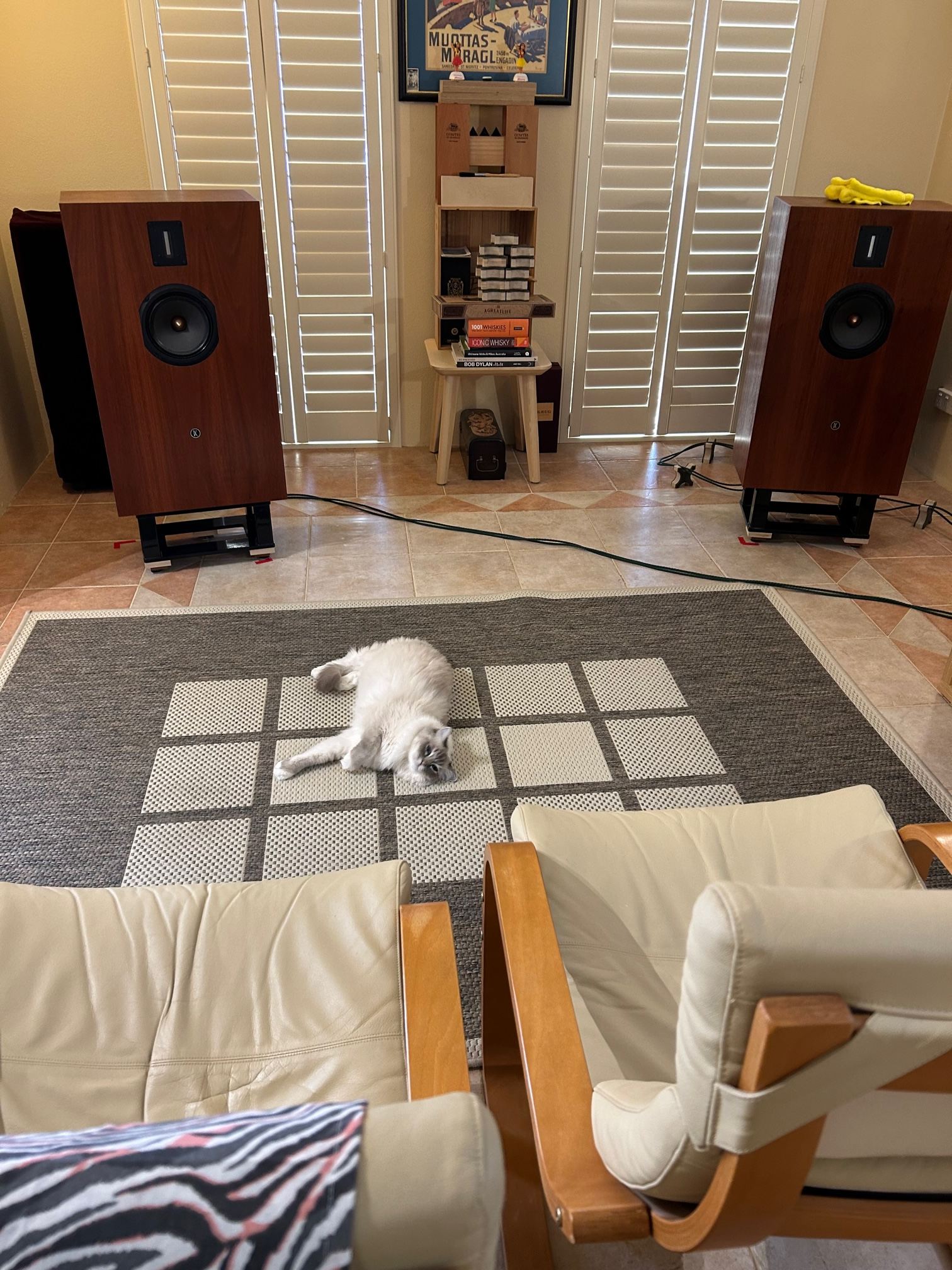AUDIO SYNERGY DESIGNED 2 WAY SPEAKERS ON STANDS - Stereo, Home Cinema ...