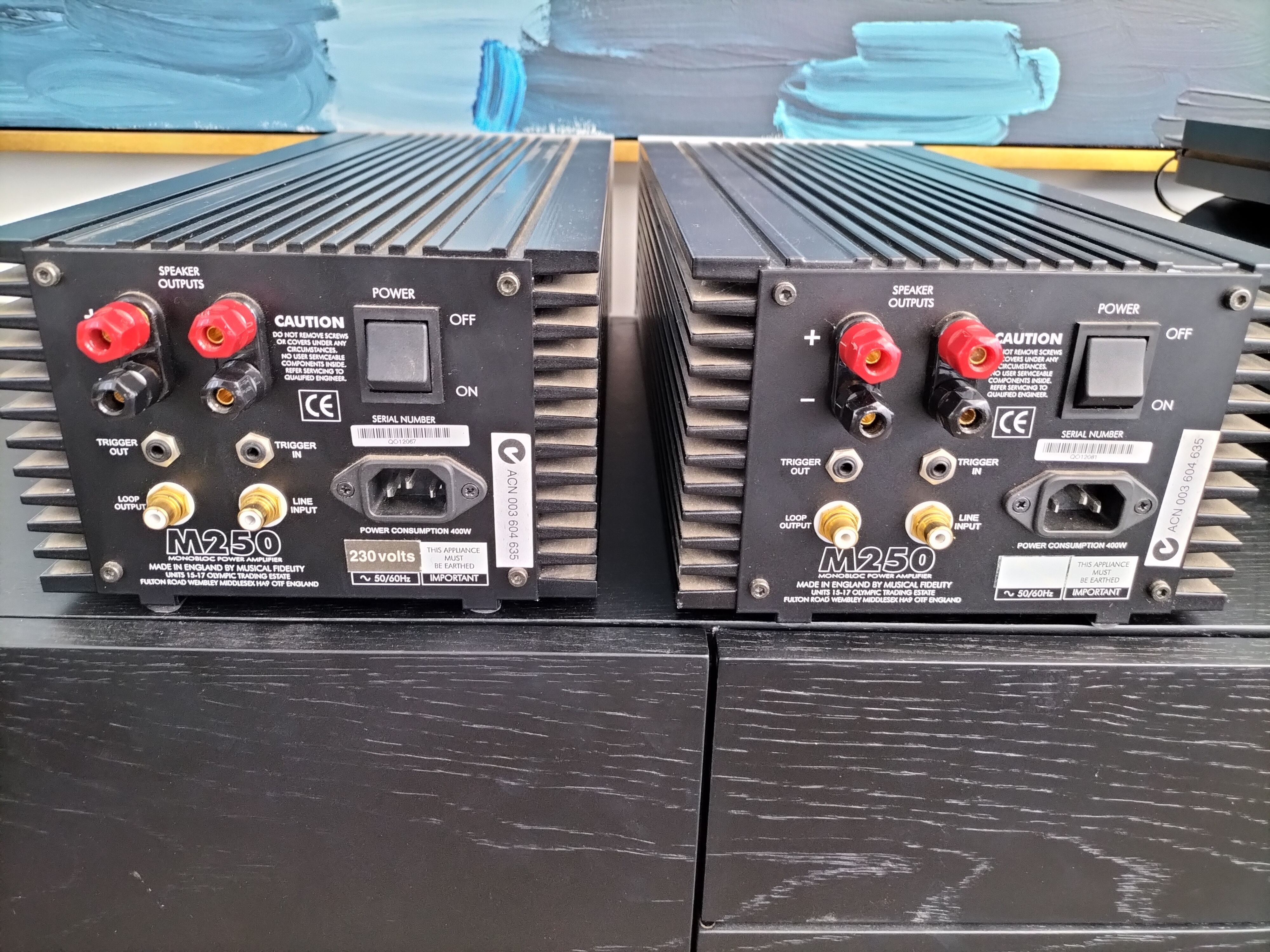 Musical Fidelity M250 Power Amps - Stereo, Home Cinema, Headphones Components - StereoNET