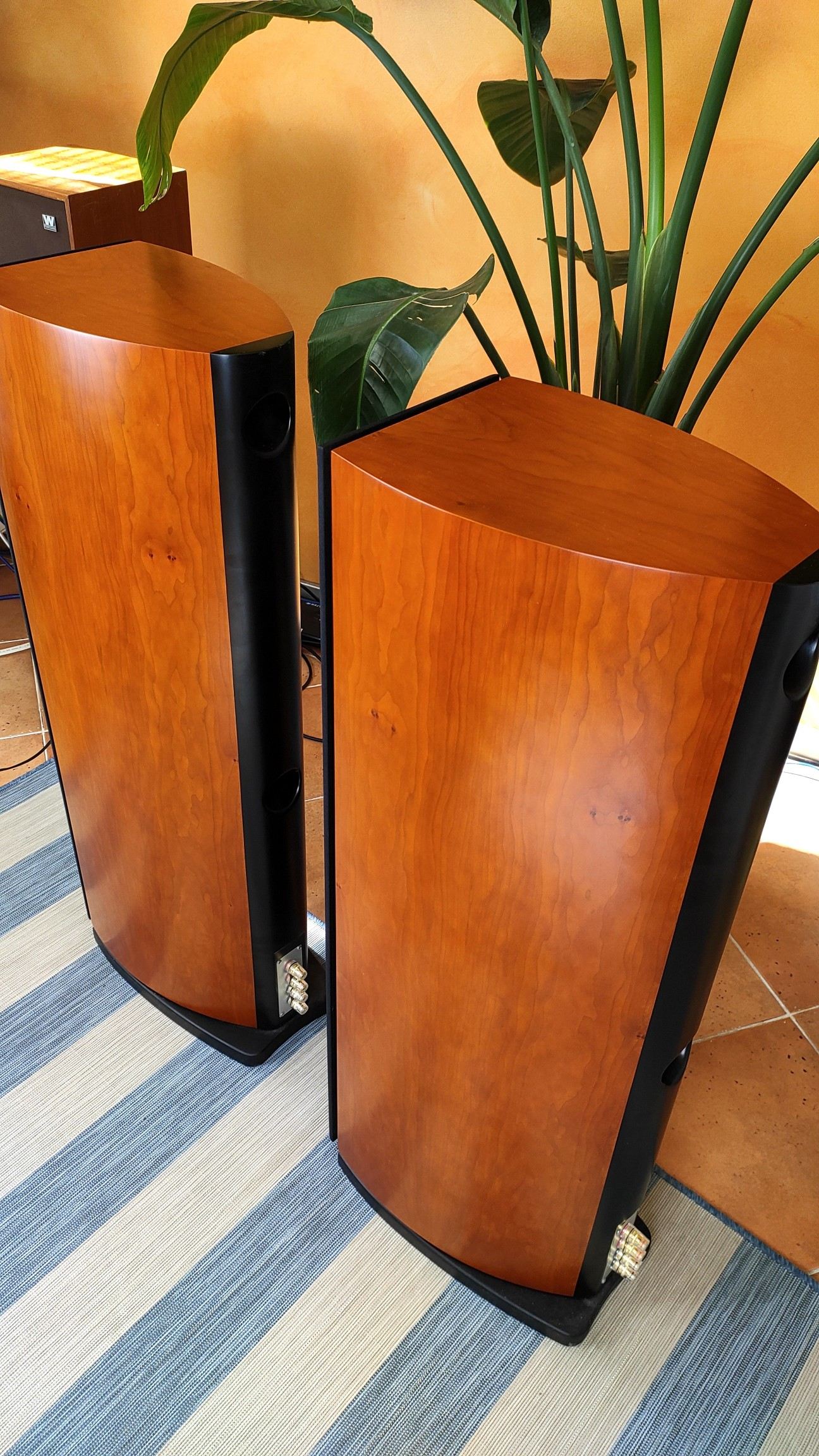 Orpheus Aurora 3.3 Floorstandig Speakers - Stereo, Home Cinema ...