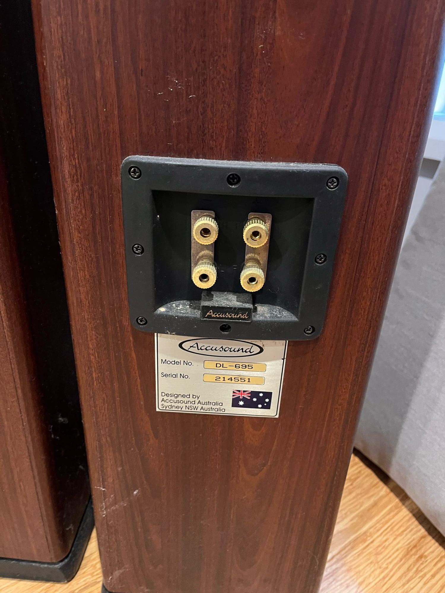 TAKEN: Accusound floorstanding speakers DL-695 - Pay it Forward ...