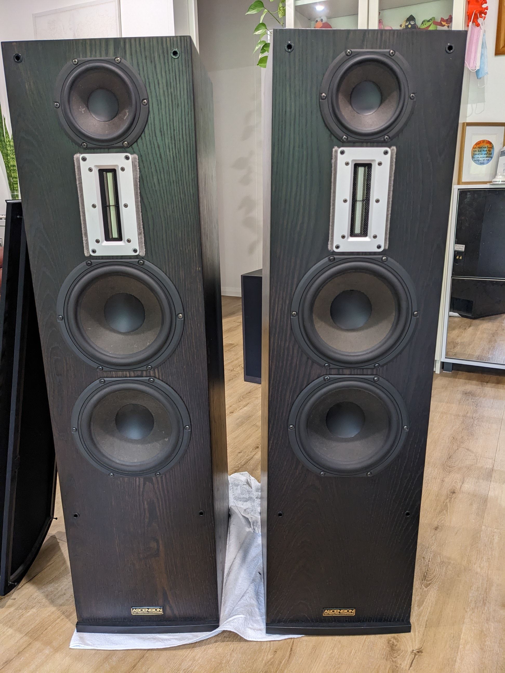 Audio Ascension (Adelaide Audio), Timberwolf 3.1 + Sub - Stereo, Home ...
