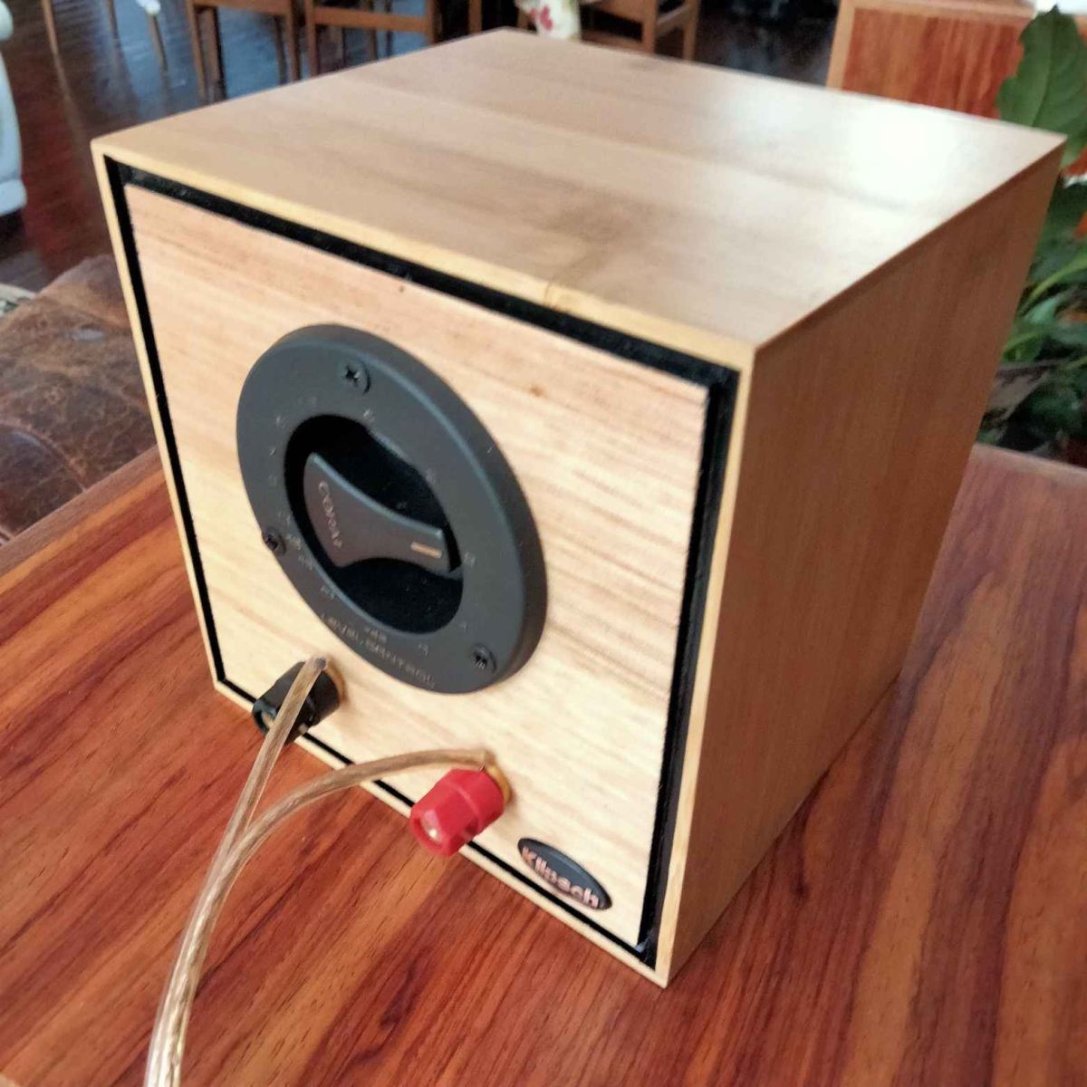 Transmission line speaker project based on Coral |﻿ DIY Audio Projects