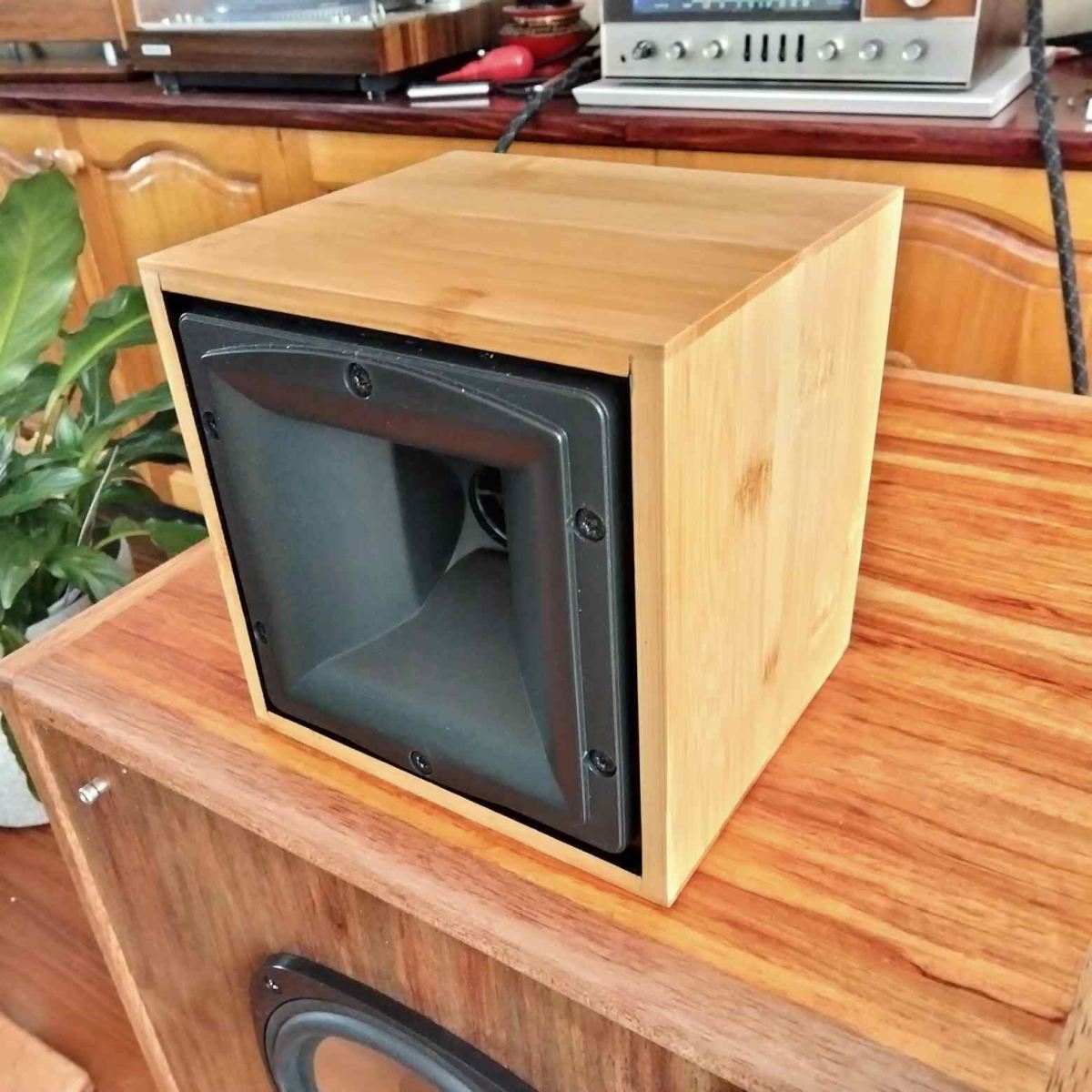 Transmission line speaker project based on Coral |﻿ DIY Audio Projects