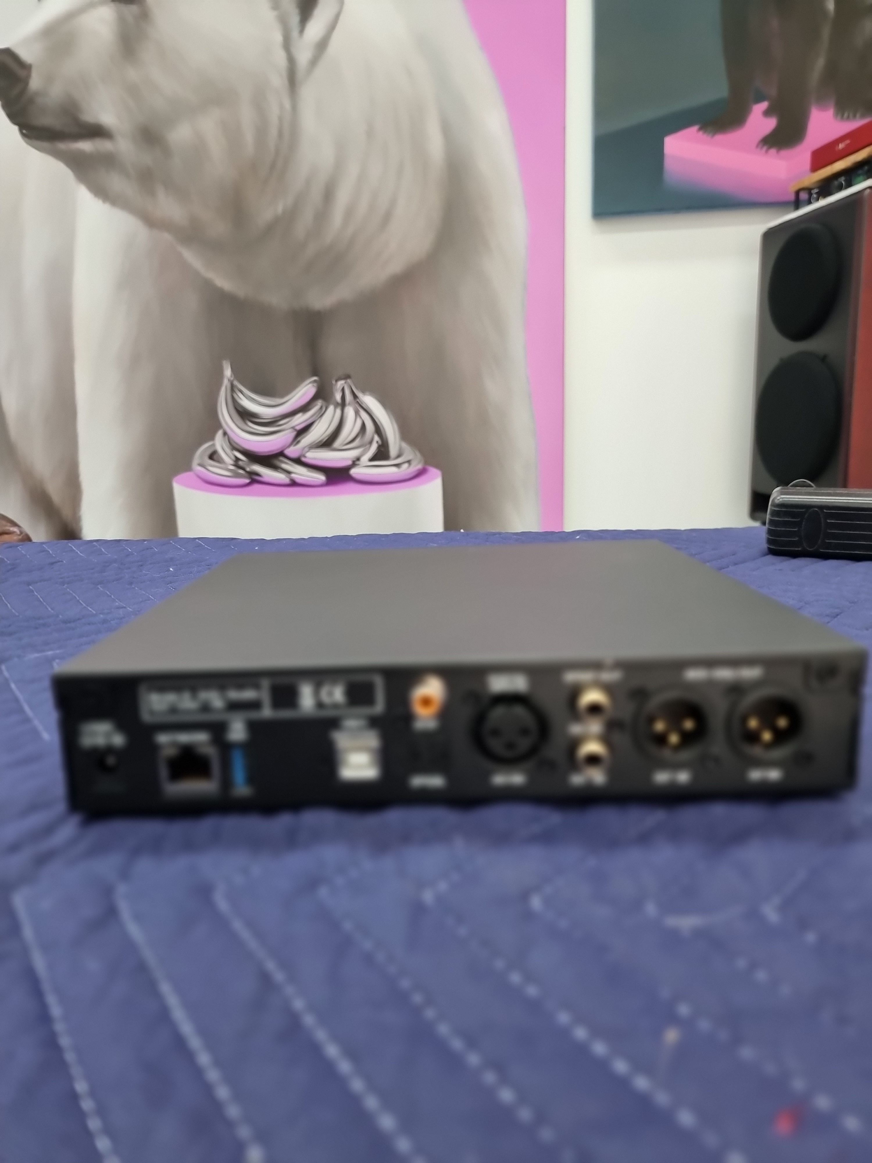 Minidsp SHD Studio dsp streamer with UMIK - Stereo, Home Cinema ...