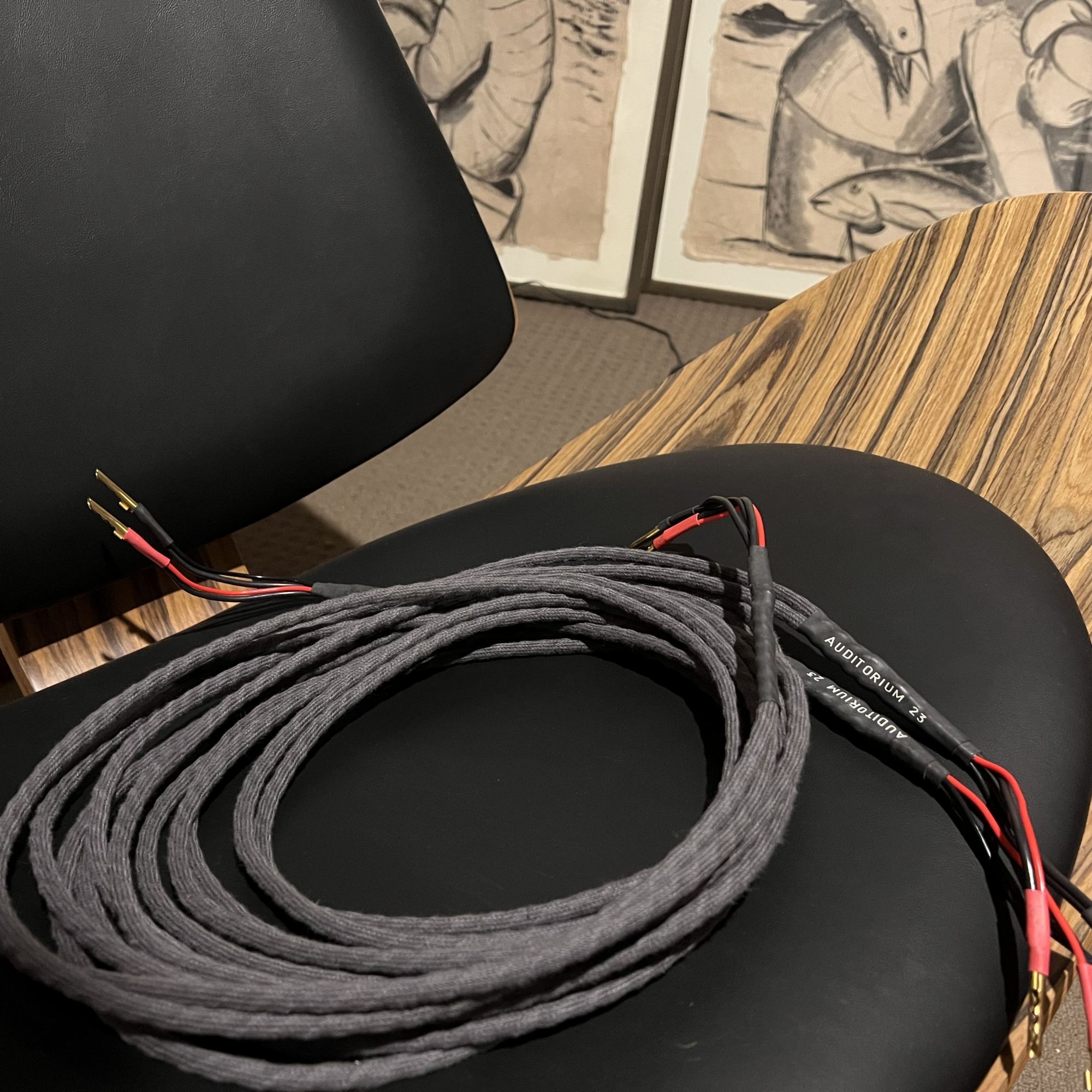 Auditorium 23 Speaker cable 2.7m - Hi-Fi and Cinema Cables & Accessories - StereoNET