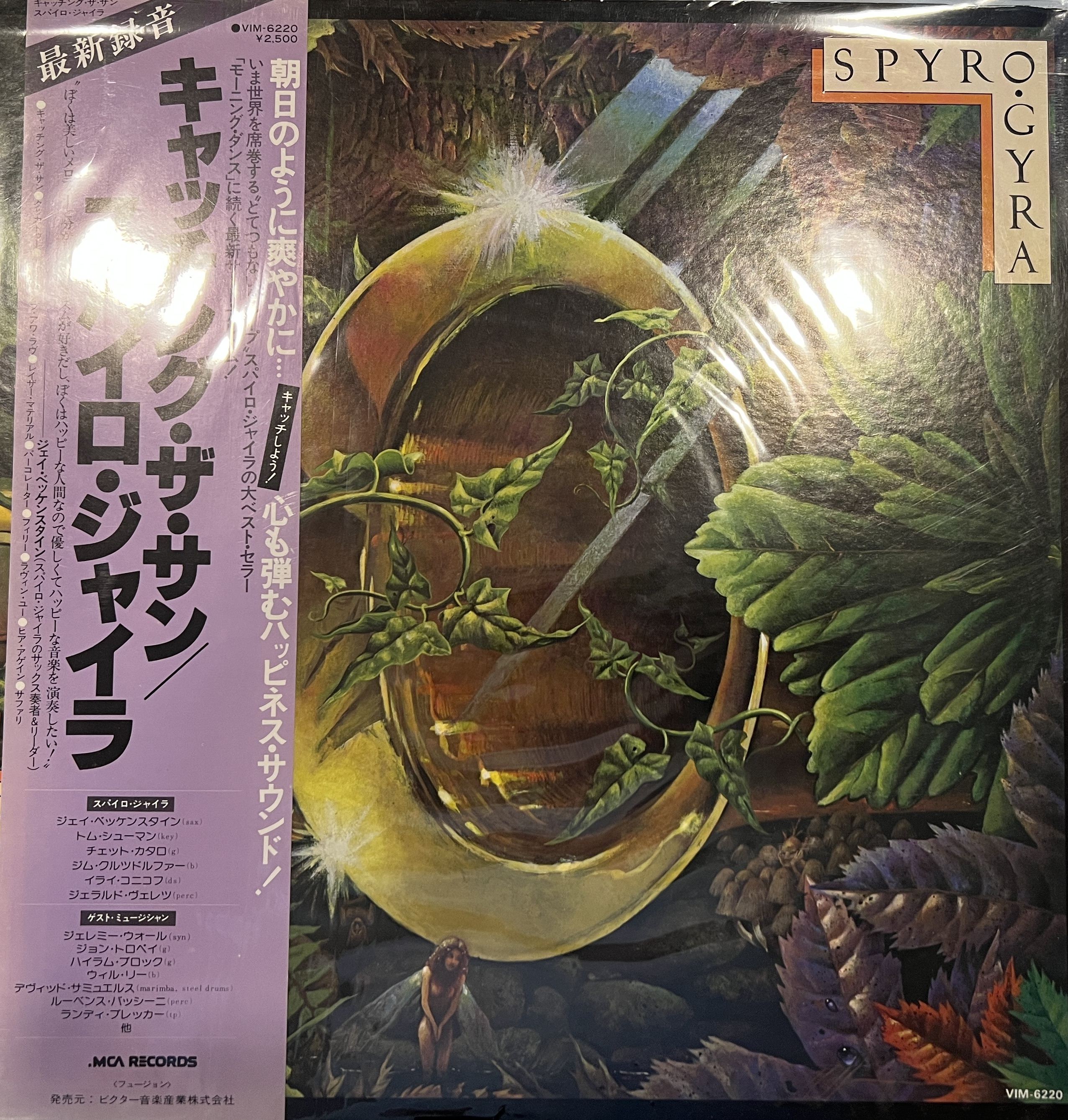 Spyro Gyro - Catching the Sun - LP |﻿ Vinyl, CD, and Blu-ray