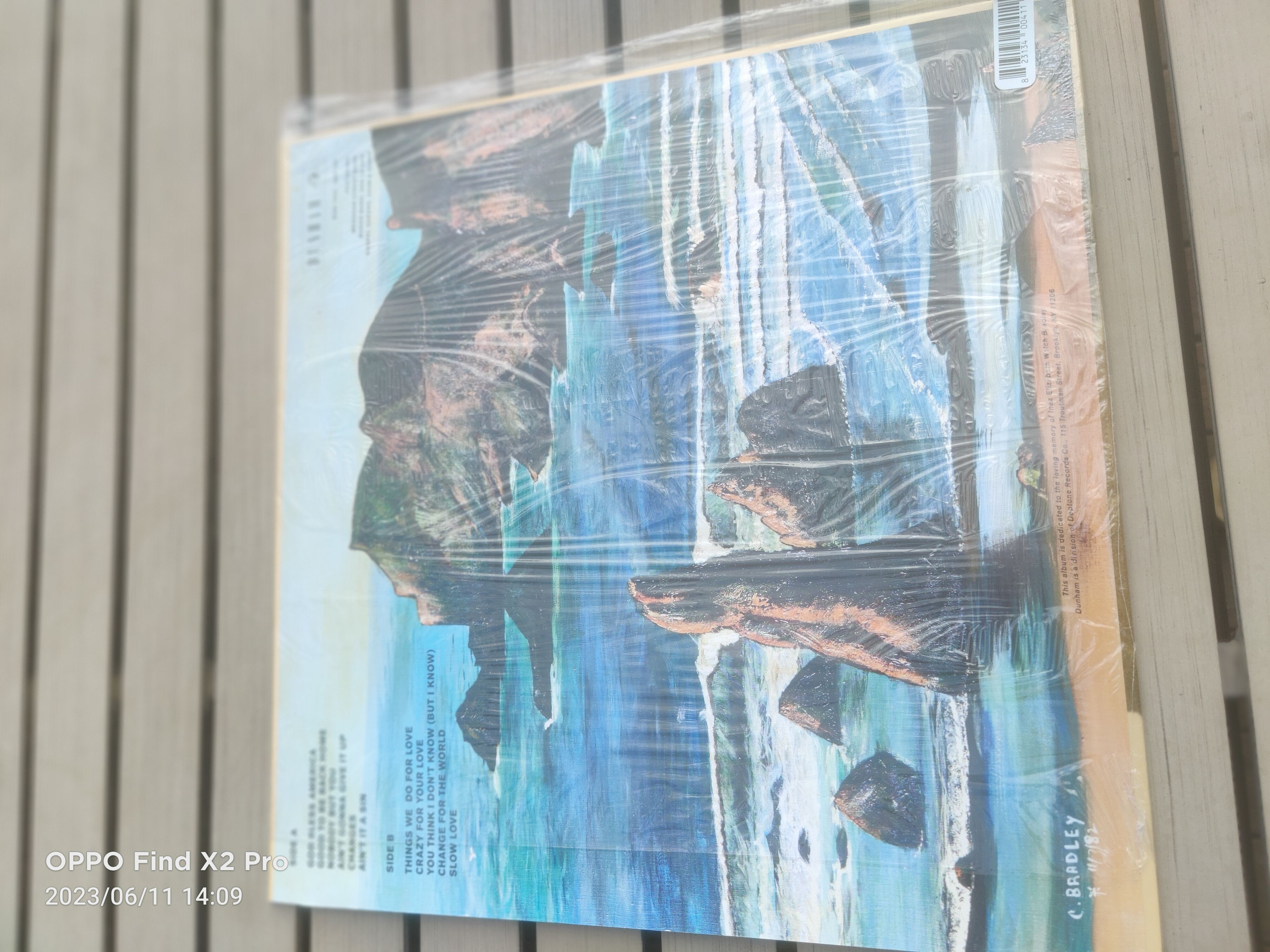 Charles Bradley vinyl album - Vinyl, CD, and Blu-ray - StereoNET