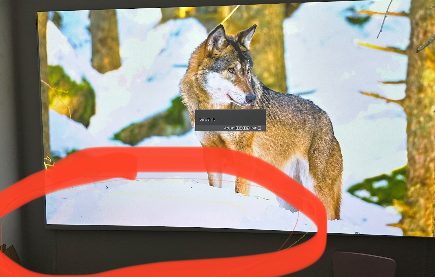 Sony VW260ES projector Screening - Televisions, Projectors & Screens - StereoNET