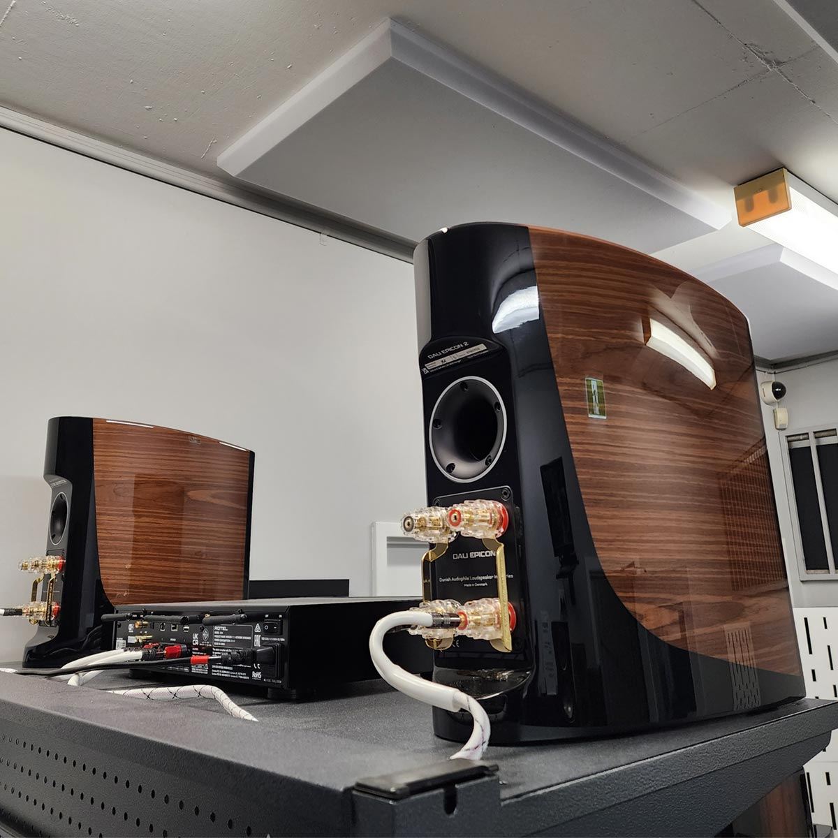 DALI EPICON 2 Bookshelf Speakers - Gloss Walnut - Ex-Demo - Commercial ...