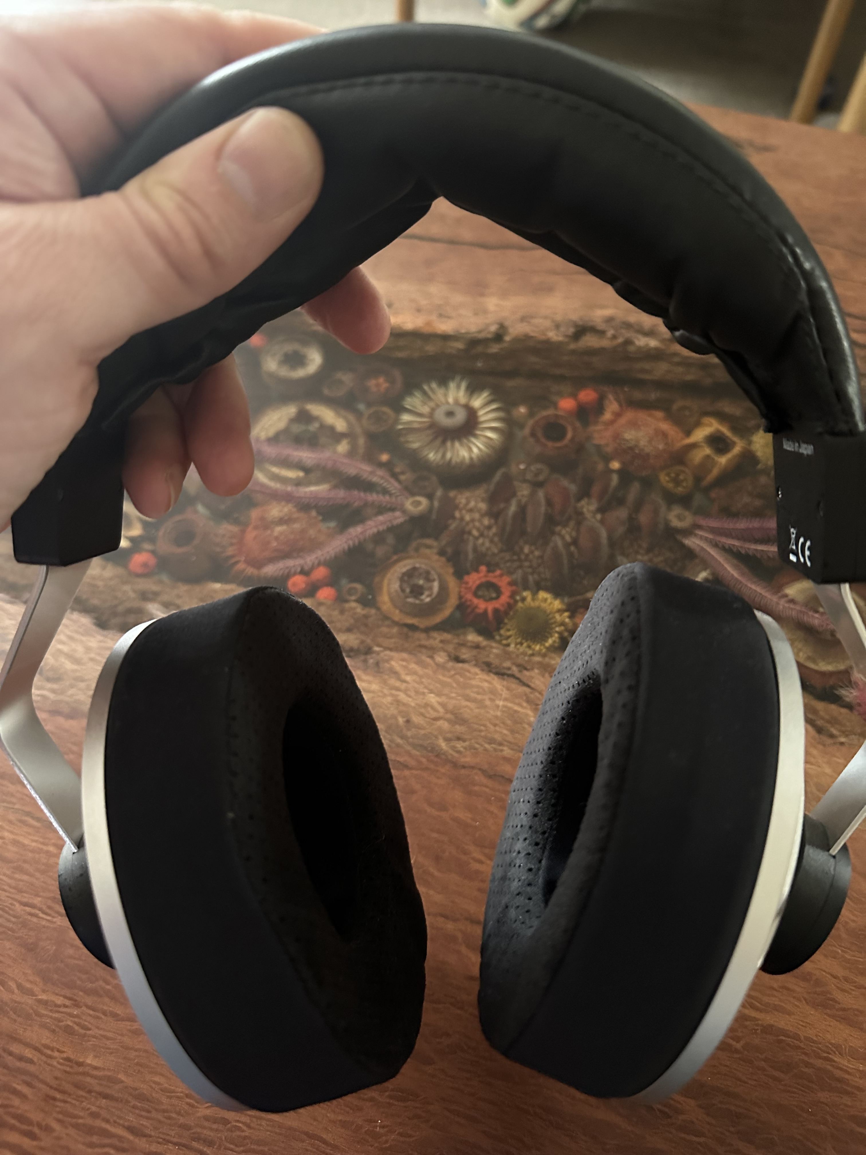 Final Audio D8000 Pro headphones - Stereo, Home Cinema, Headphones ...