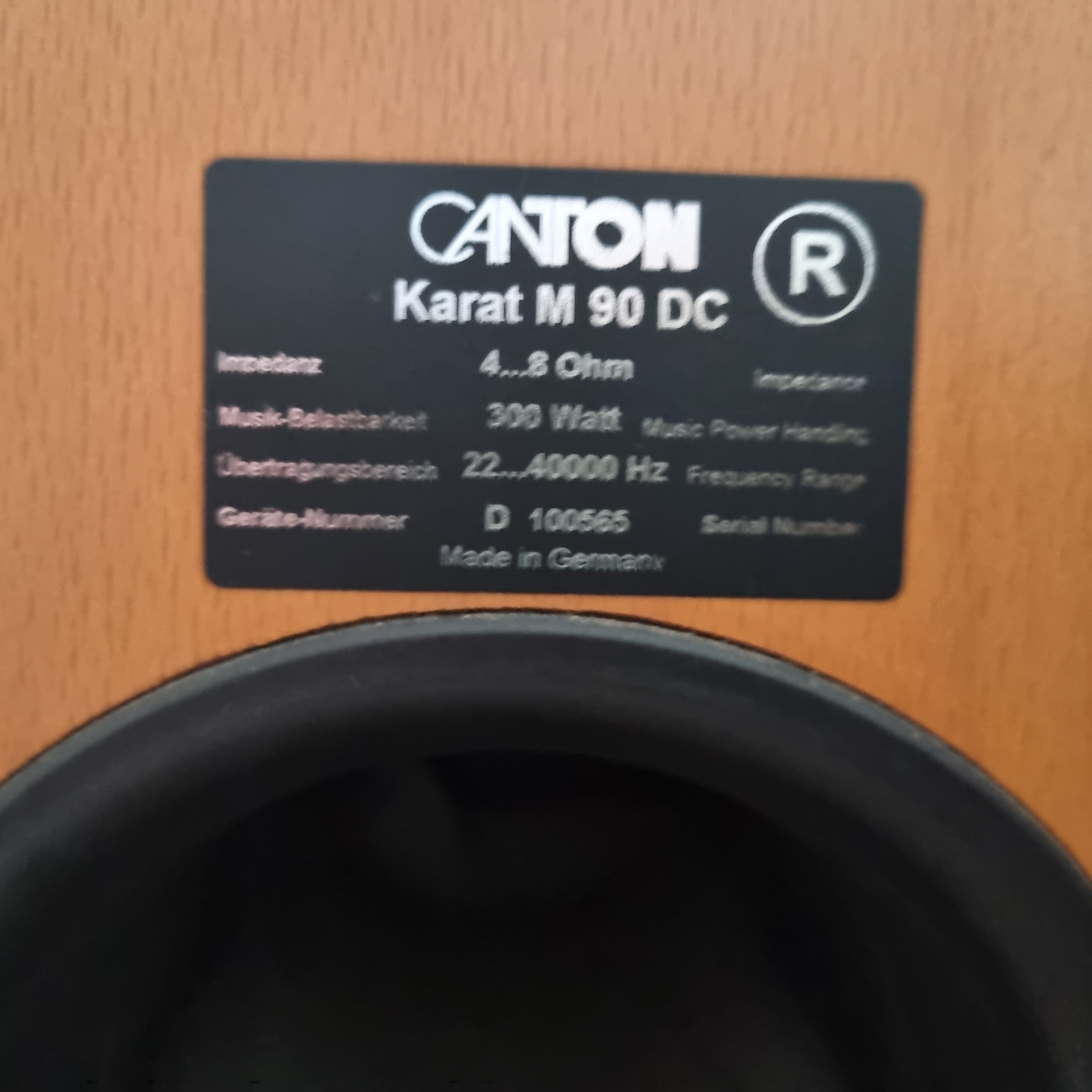 Canton Karat M90 DC Floor Standing Speakers (300 watts RMS) - Stereo ...