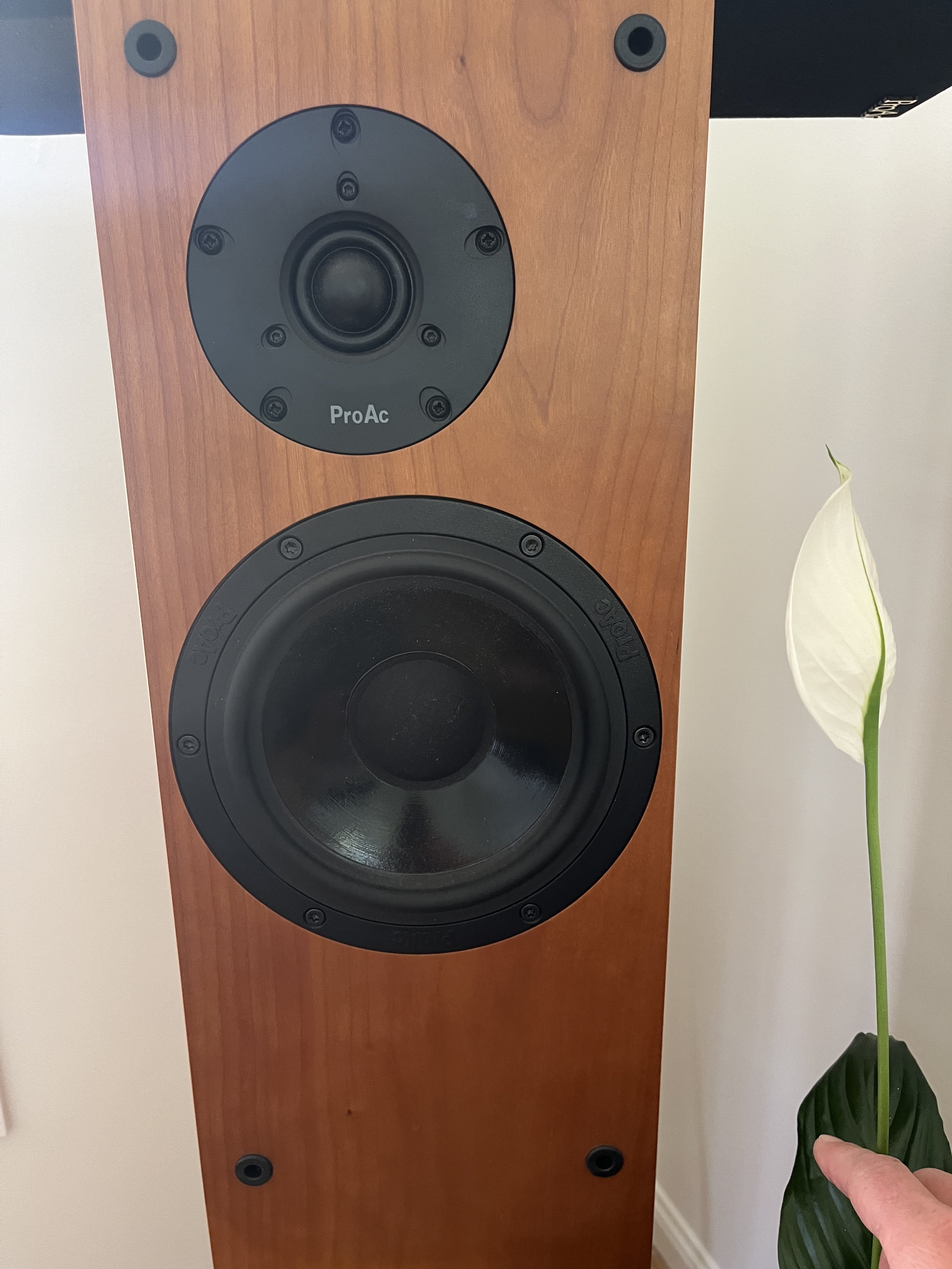 ProAc Studio 130 - Stereo, Home Cinema, Headphones Components - StereoNET