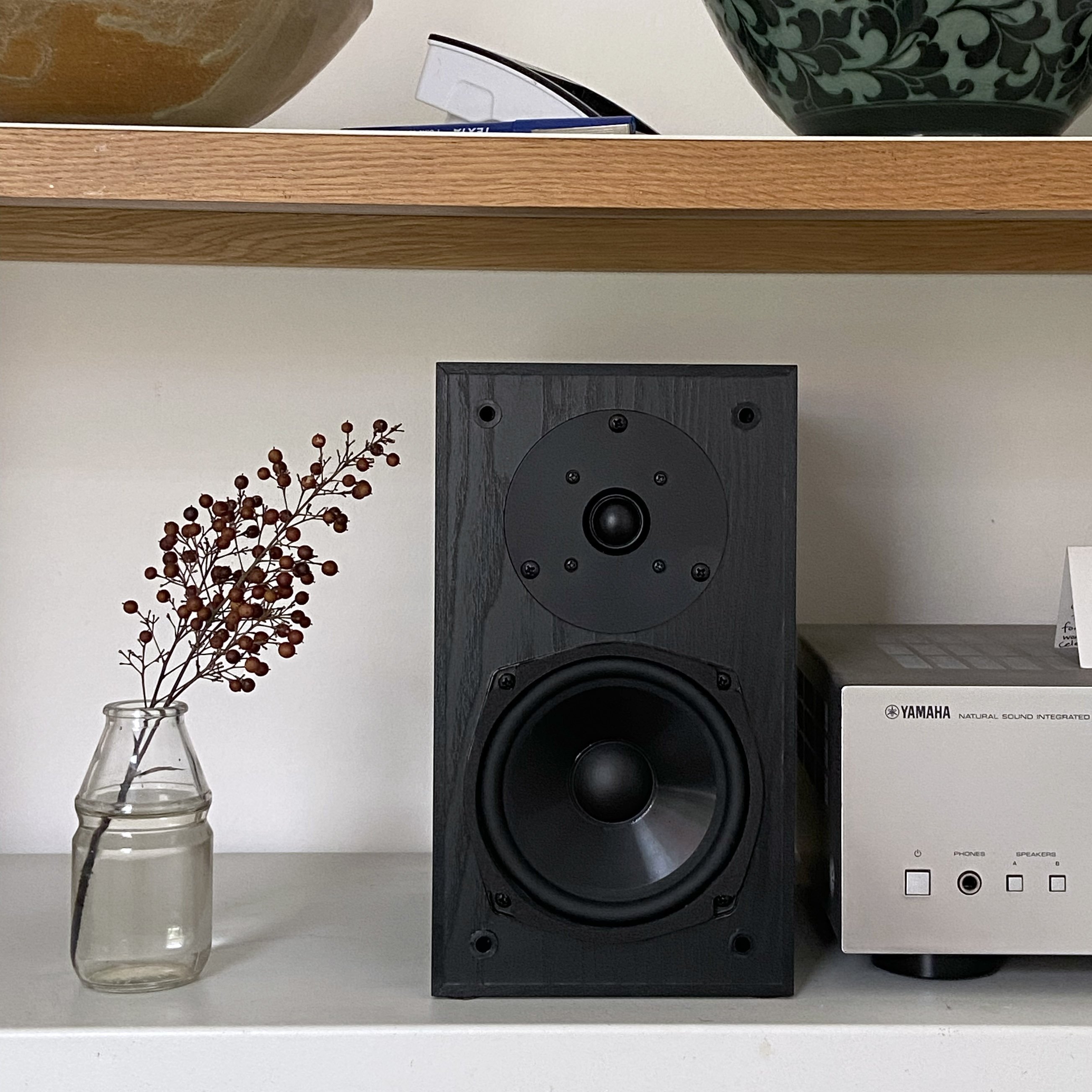 Richter Predator Cougar bookshelf speakers - Stereo, Home Cinema ...