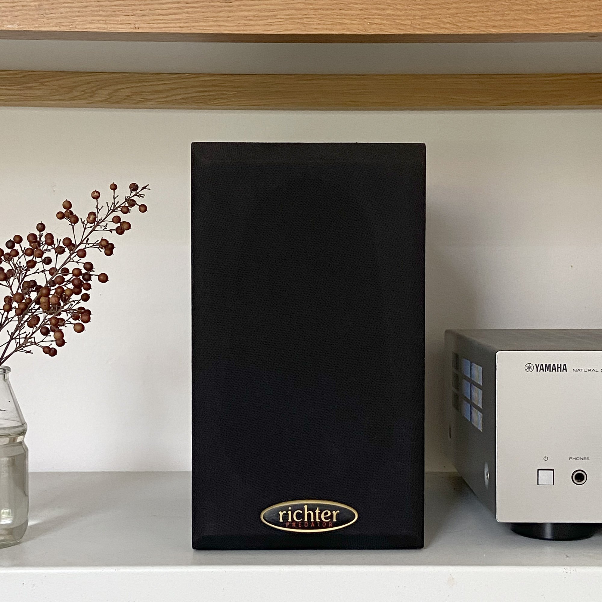 Richter Predator Cougar bookshelf speakers - Stereo, Home Cinema ...