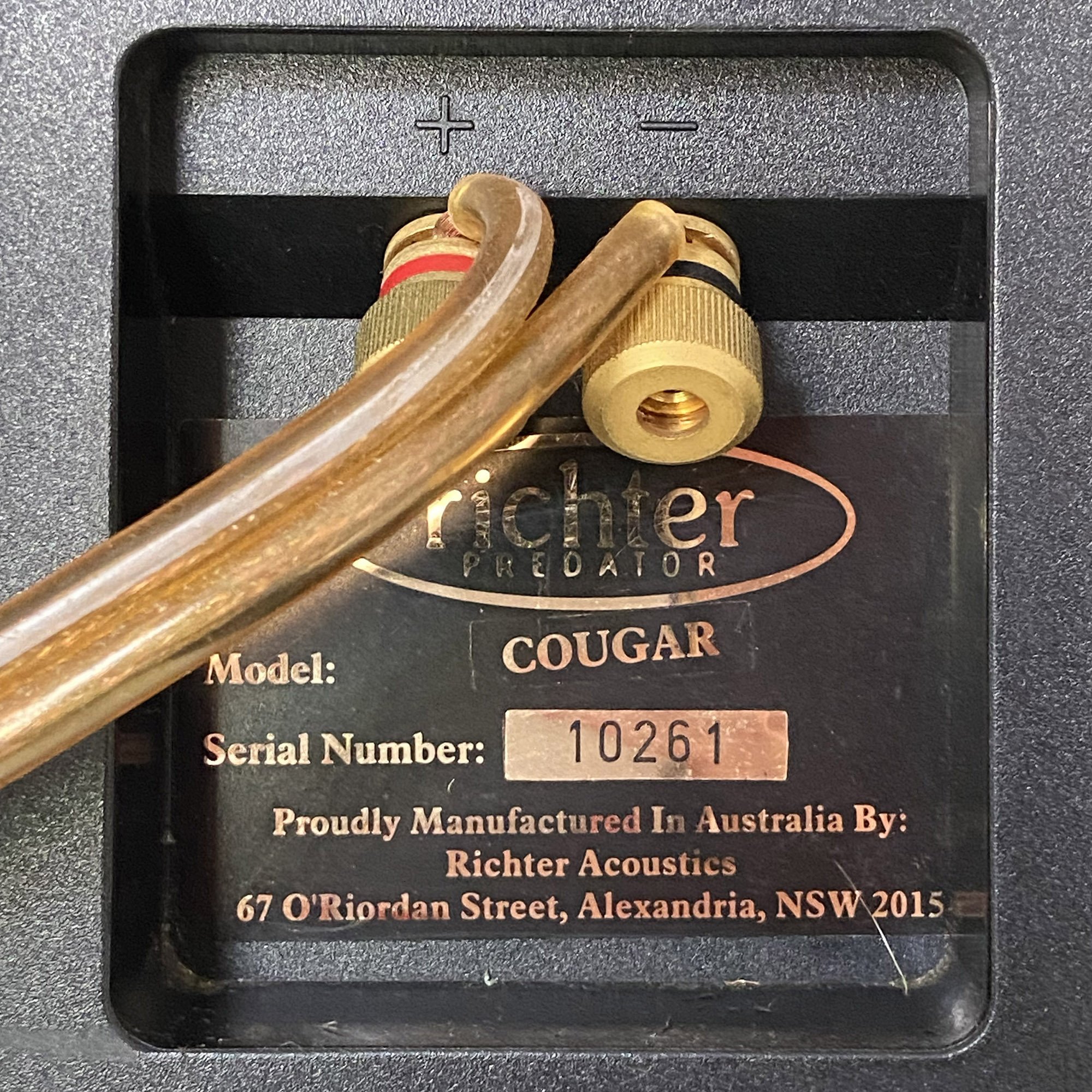 Richter Predator Cougar bookshelf speakers - Stereo, Home Cinema ...