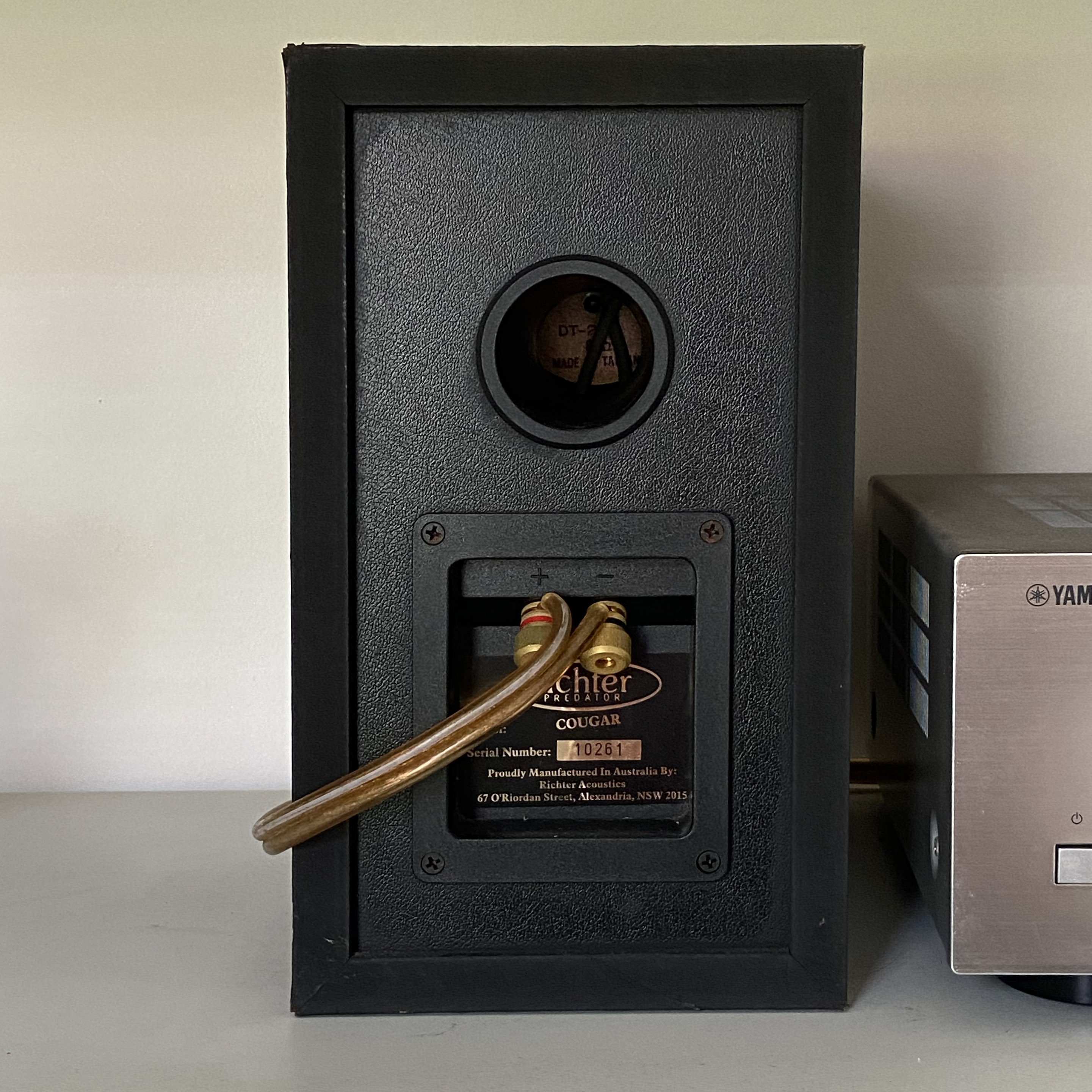 Richter Predator Cougar bookshelf speakers - Stereo, Home Cinema ...