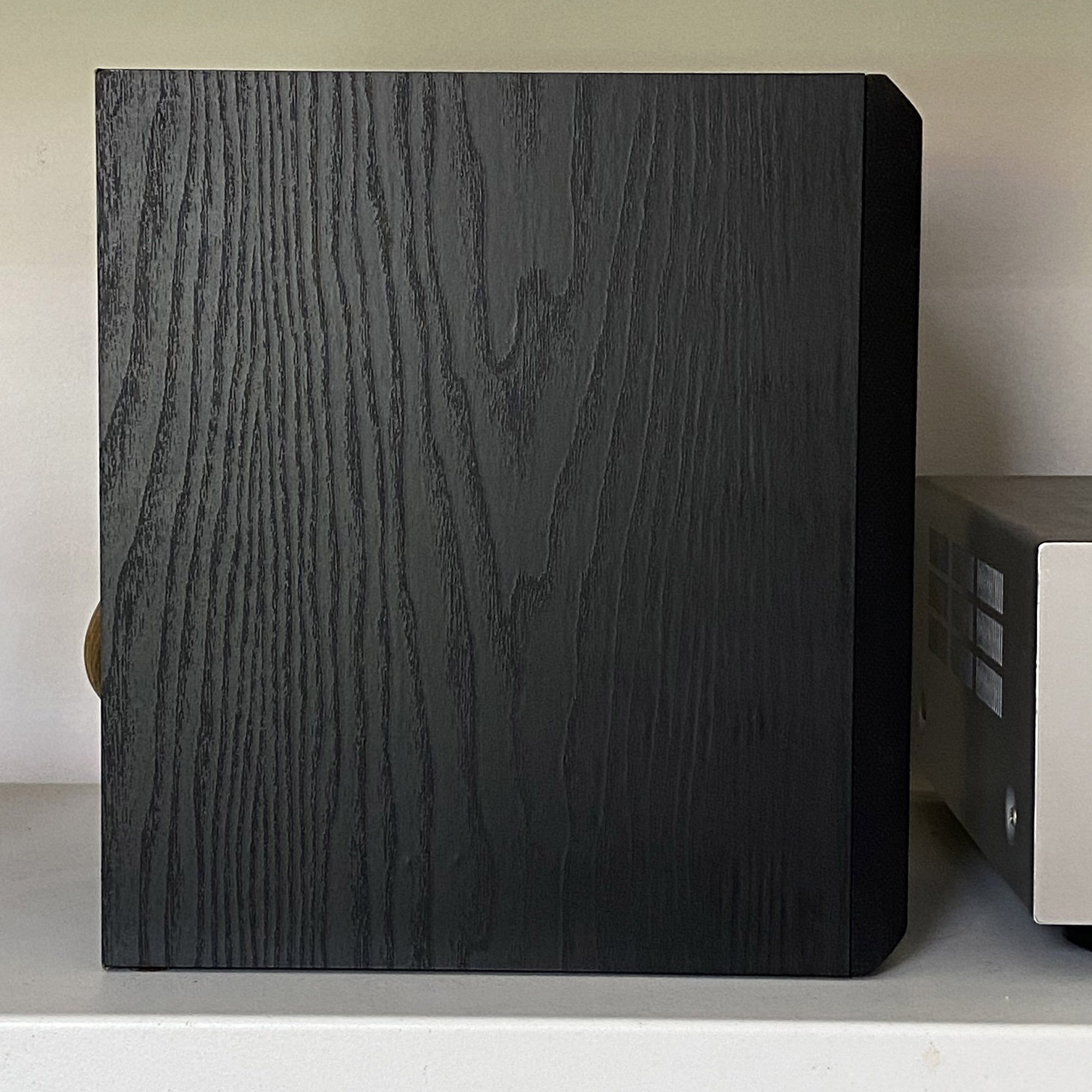 Richter Predator Cougar bookshelf speakers - Stereo, Home Cinema ...