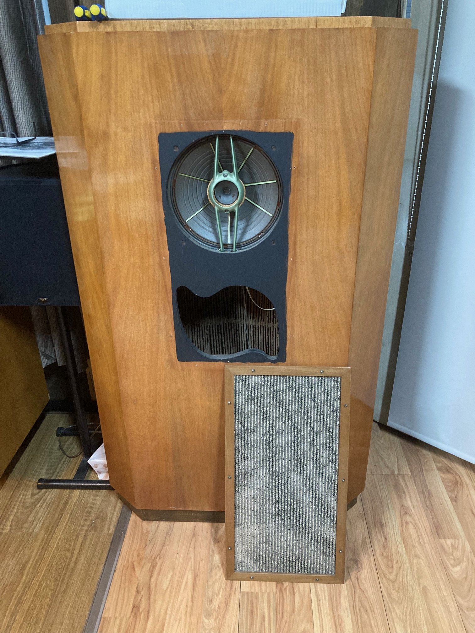 MSP Radial Beam Duo Mono speaker - Speakers, Soundbars and Subwoofers ...