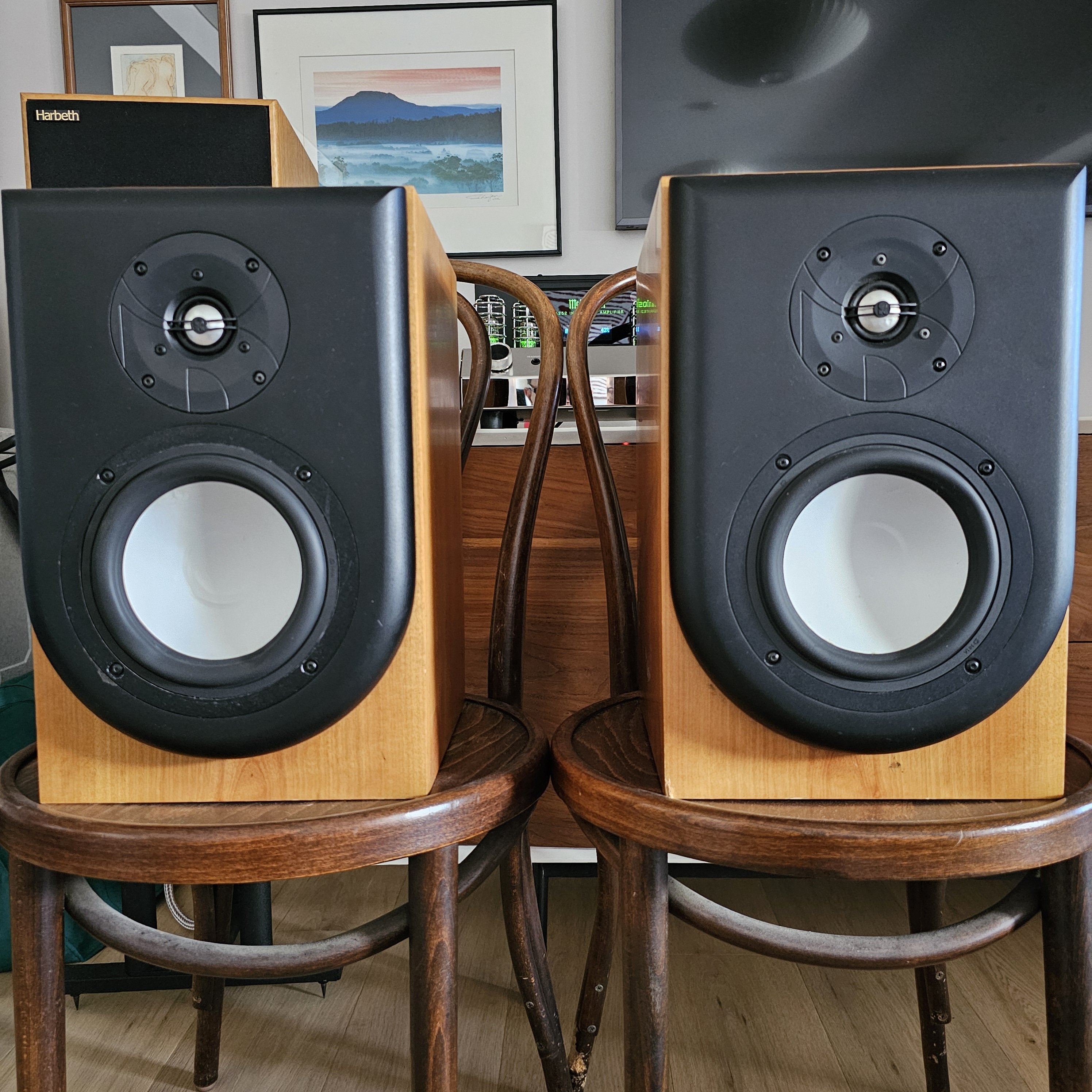 Revel Performa M20 Speakers |﻿ Stereo, Home Cinema, Headphones Components