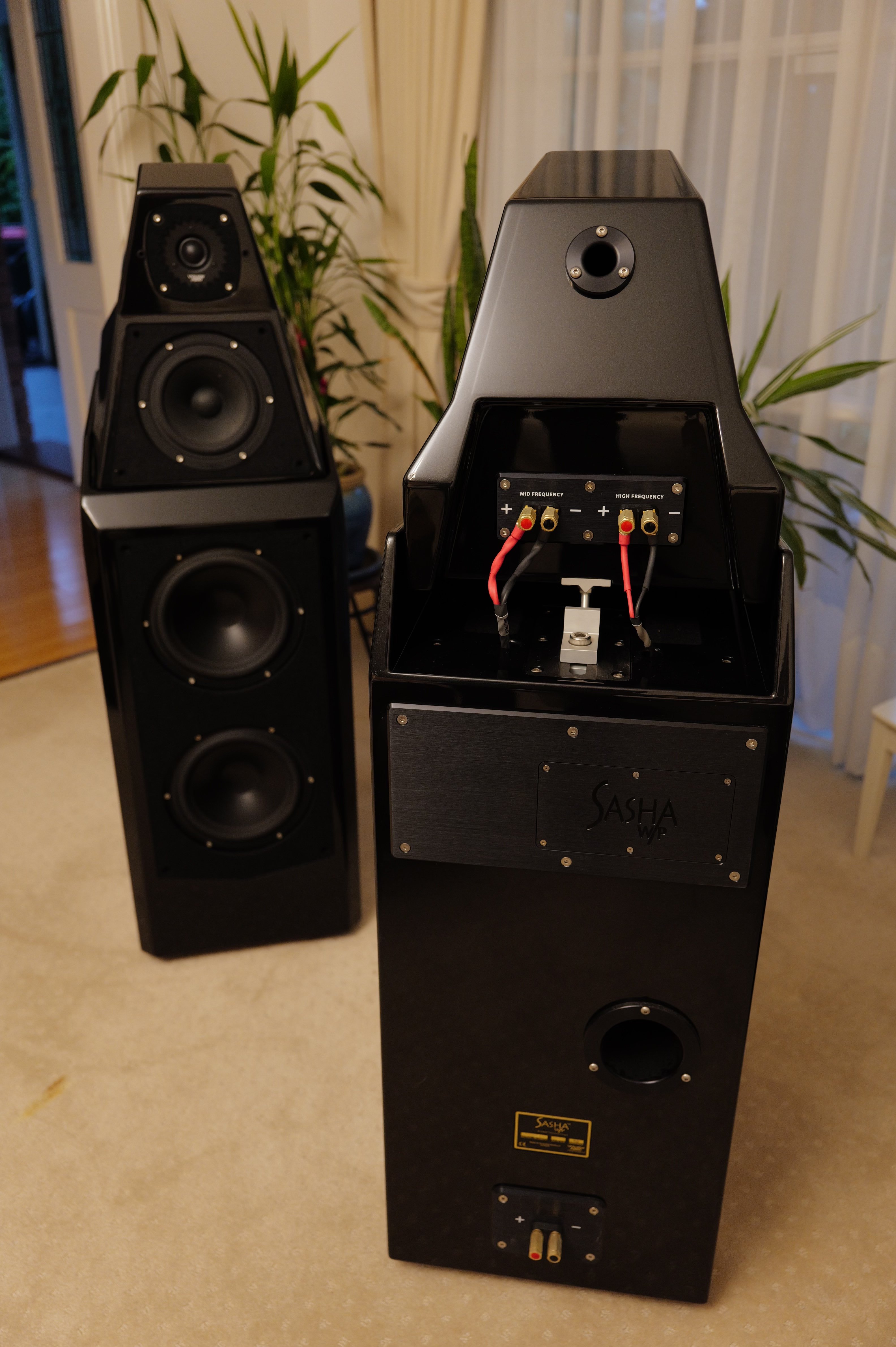 Wilson Audio Sasha Series 2 - Stereo, Home Cinema, Headphones ...