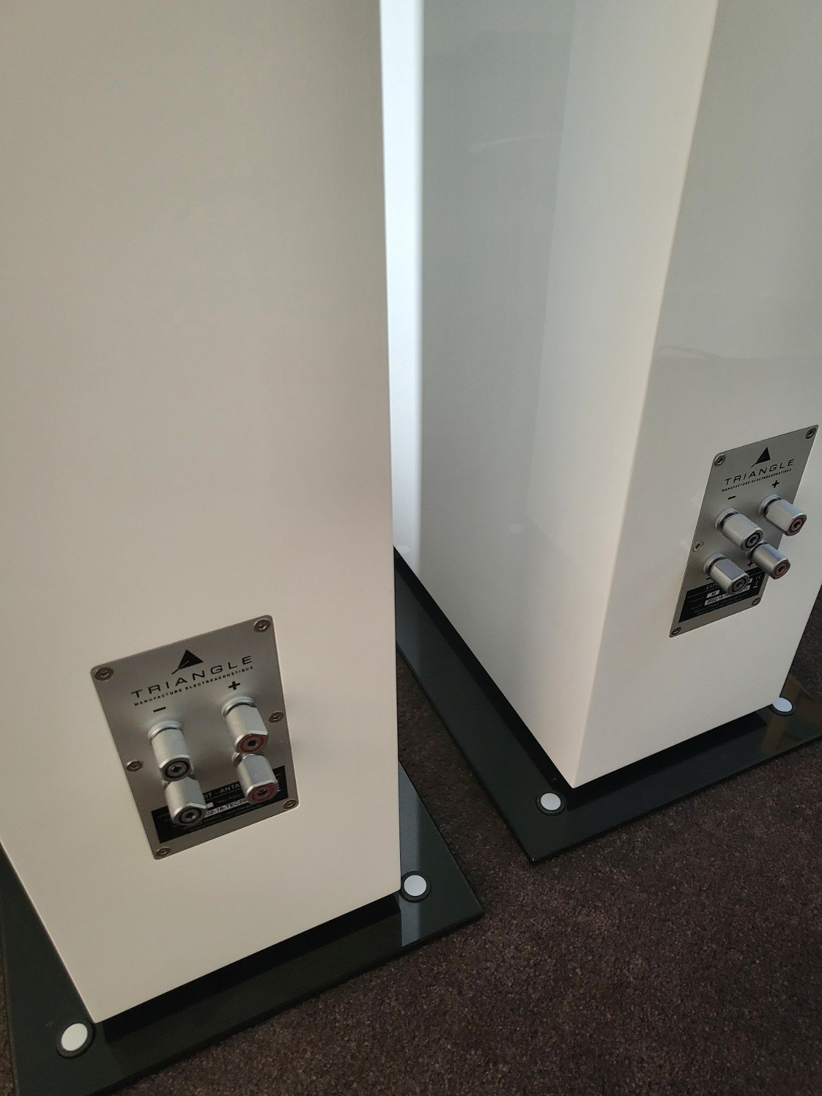 Triangle Electroacoustique ESPRIT ANTAL EZ Floorstanding Loudspeakers ...