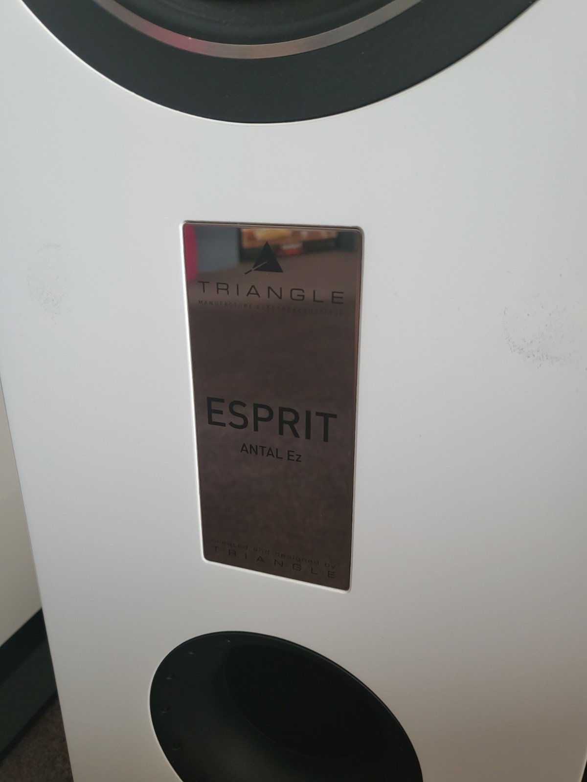 Triangle Electroacoustique ESPRIT ANTAL EZ Floorstanding Loudspeakers ...