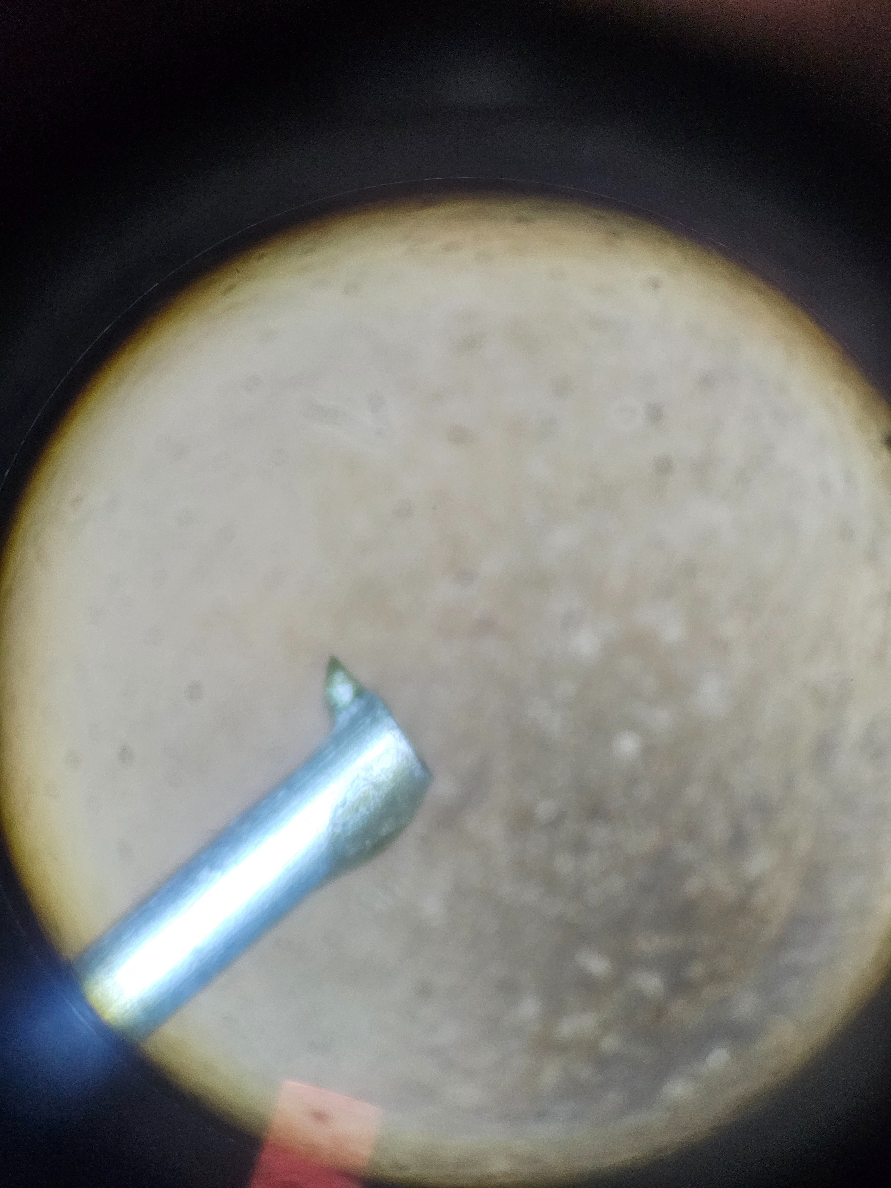 Chinese MC tested for fun - Turntables, Record Players & Vinyl - StereoNET