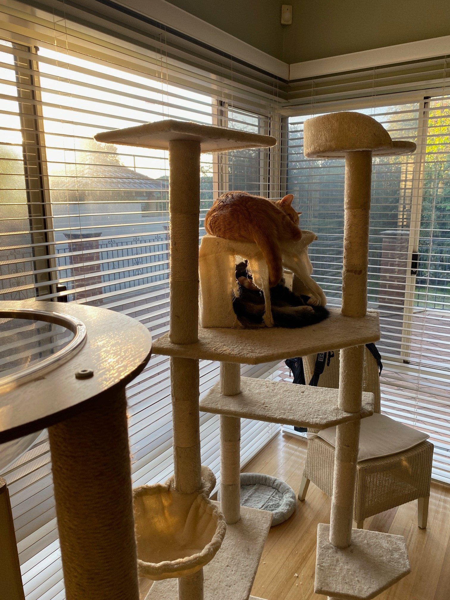 Spinning tunes on the late shift. - Page 2677 - Currently Spinning ...