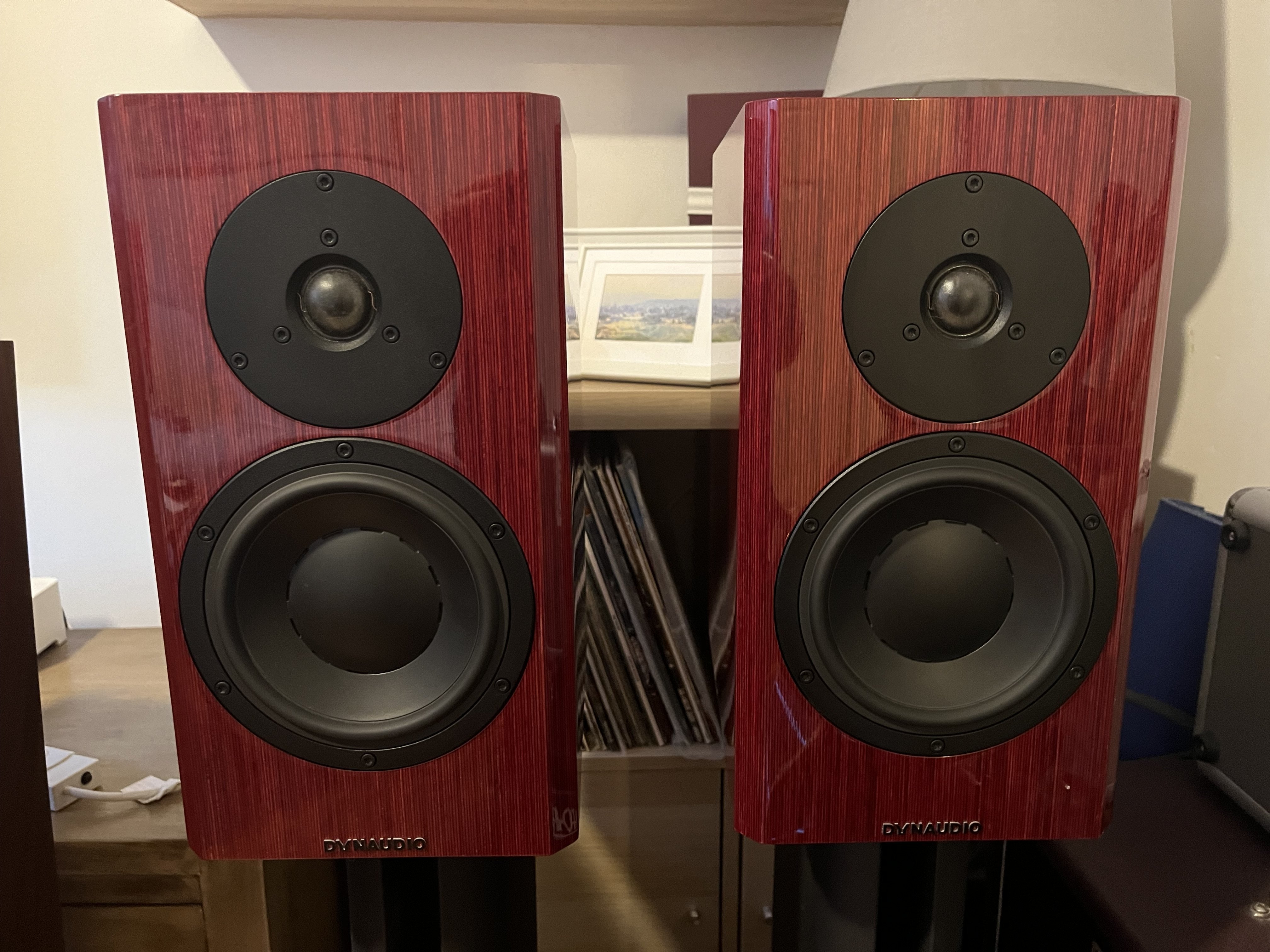 Dynaudio Special 40 Bookshelf Loudspeakers - Bookshelf & Small Monitors ...