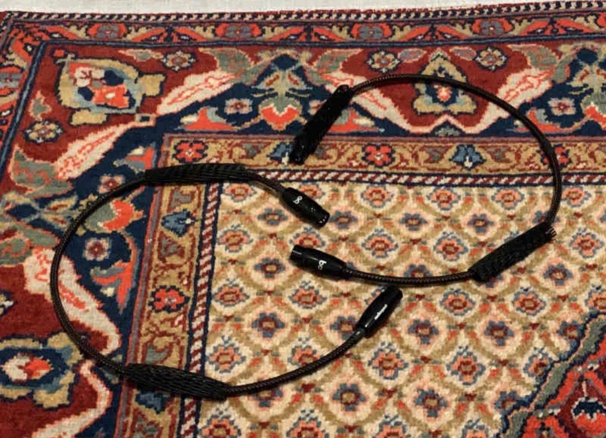 AudioQuest Big Sur 5-Pin DIN Cable - Interconnects - StereoNET