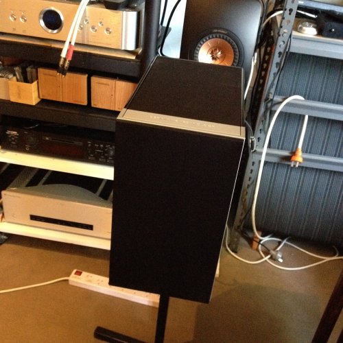 Definitive Technology D11 Bookshelf Loudspeakers |﻿ Bookshelf & Small ...
