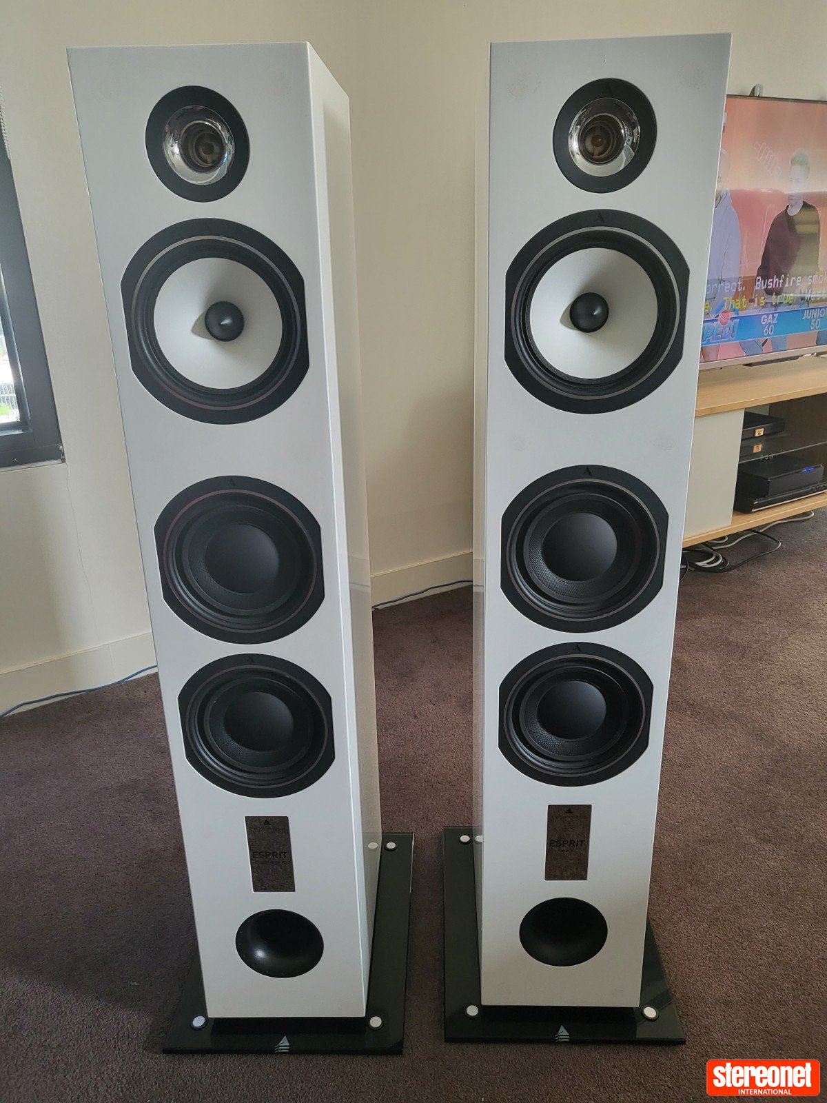 Triangle Electroacoustique ESPRIT ANTAL EZ Floorstanding Loudspeakers ...