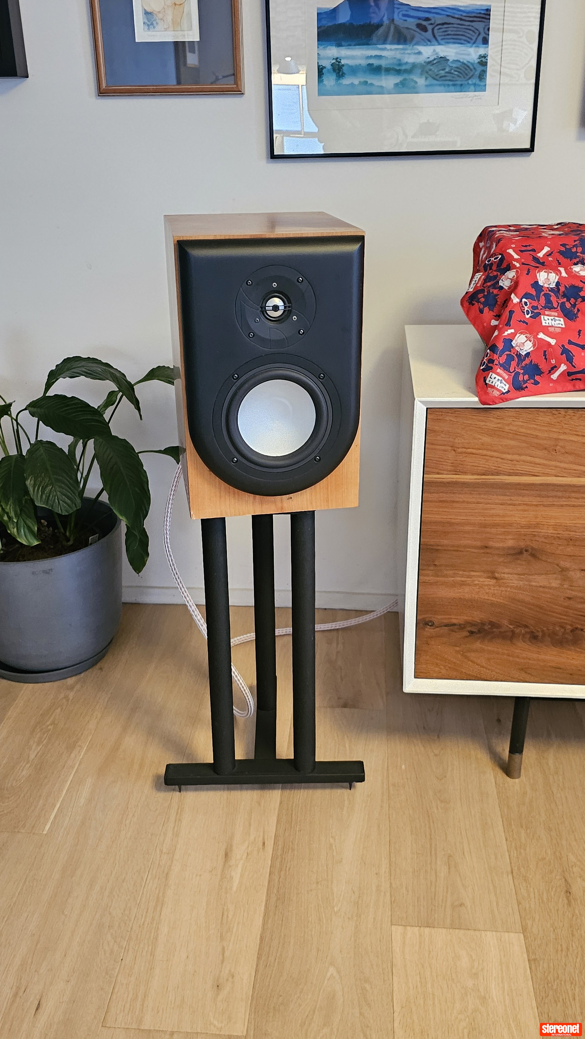 Revel Speakers M20 Performa Bookshelf Loudspeakers - Bookshelf & Small ...