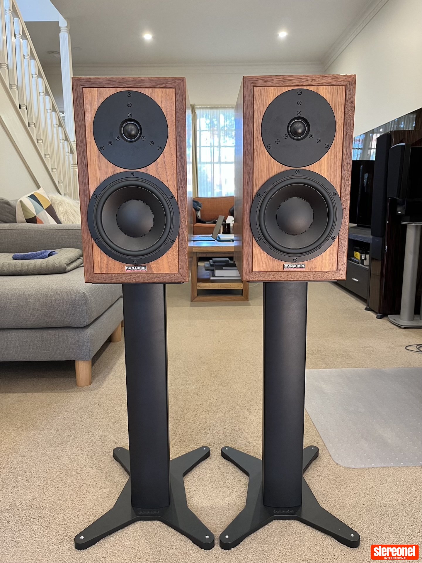 Dynaudio Heritage Special (plus Stand 20 stands) Standmount ...