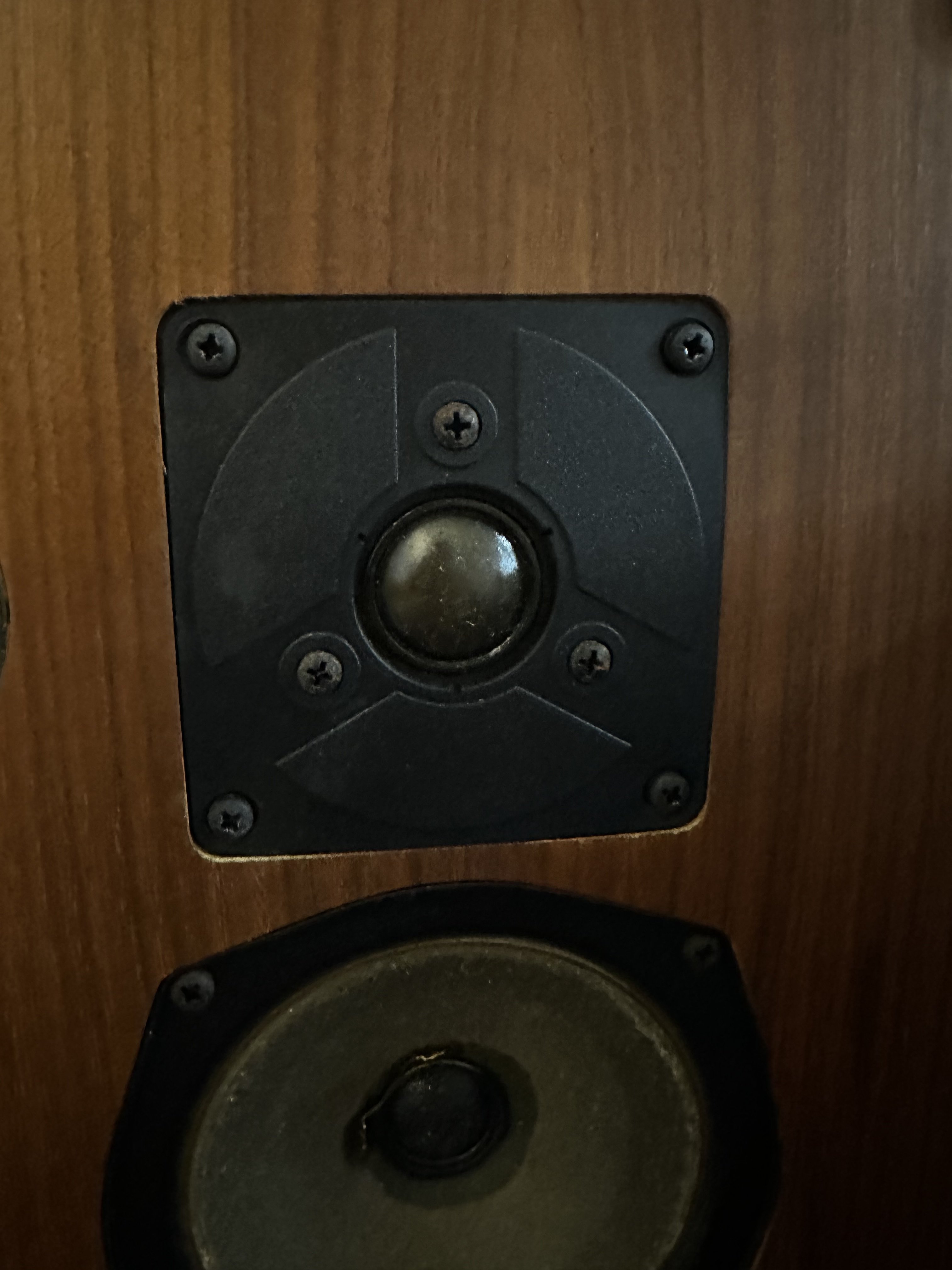 Isophon KX9 Tweeter - Wanted to Buy - StereoNET