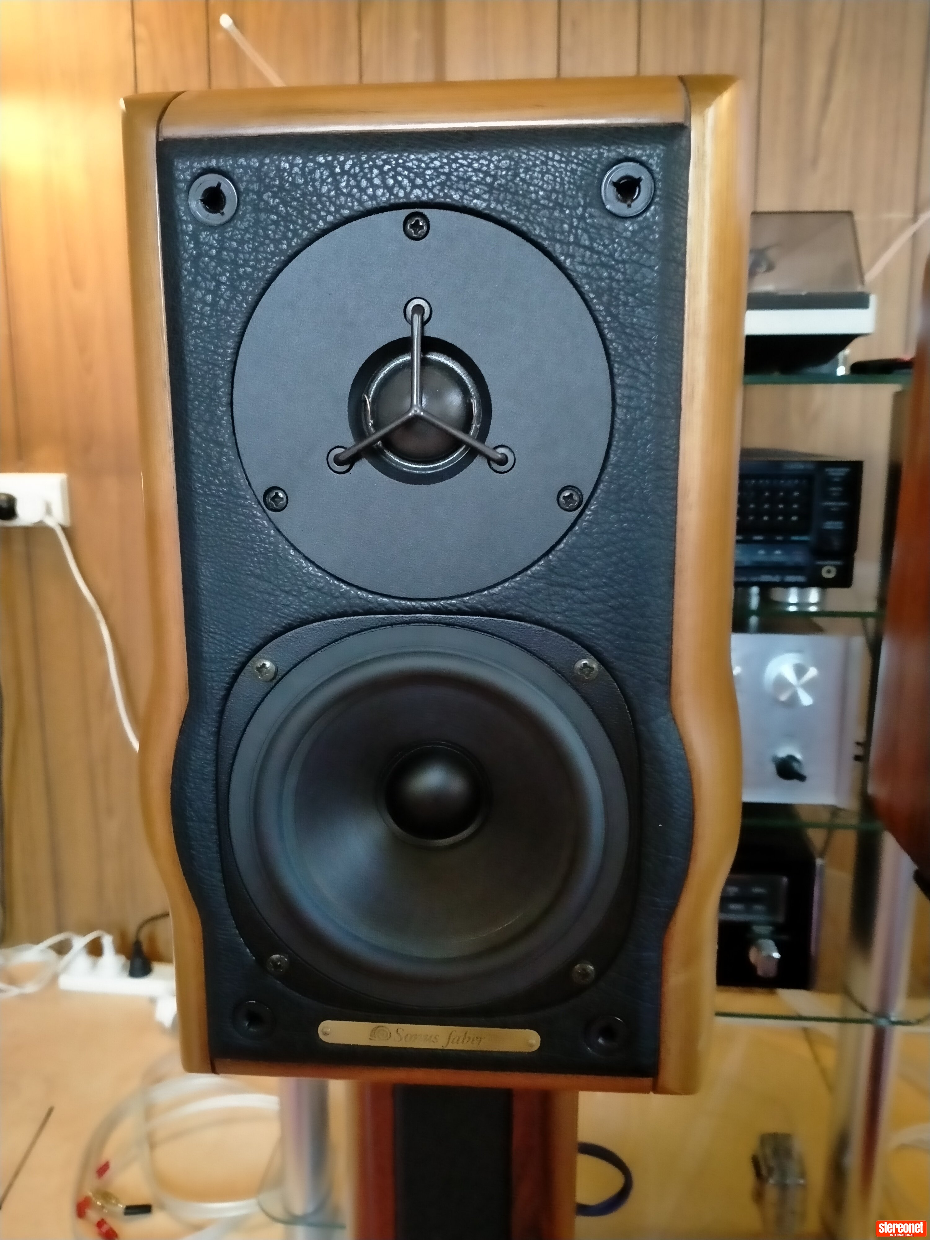 Sonus Faber Minima Amator Gen 1 Bookshelf Loudspeakers |﻿ Bookshelf ...