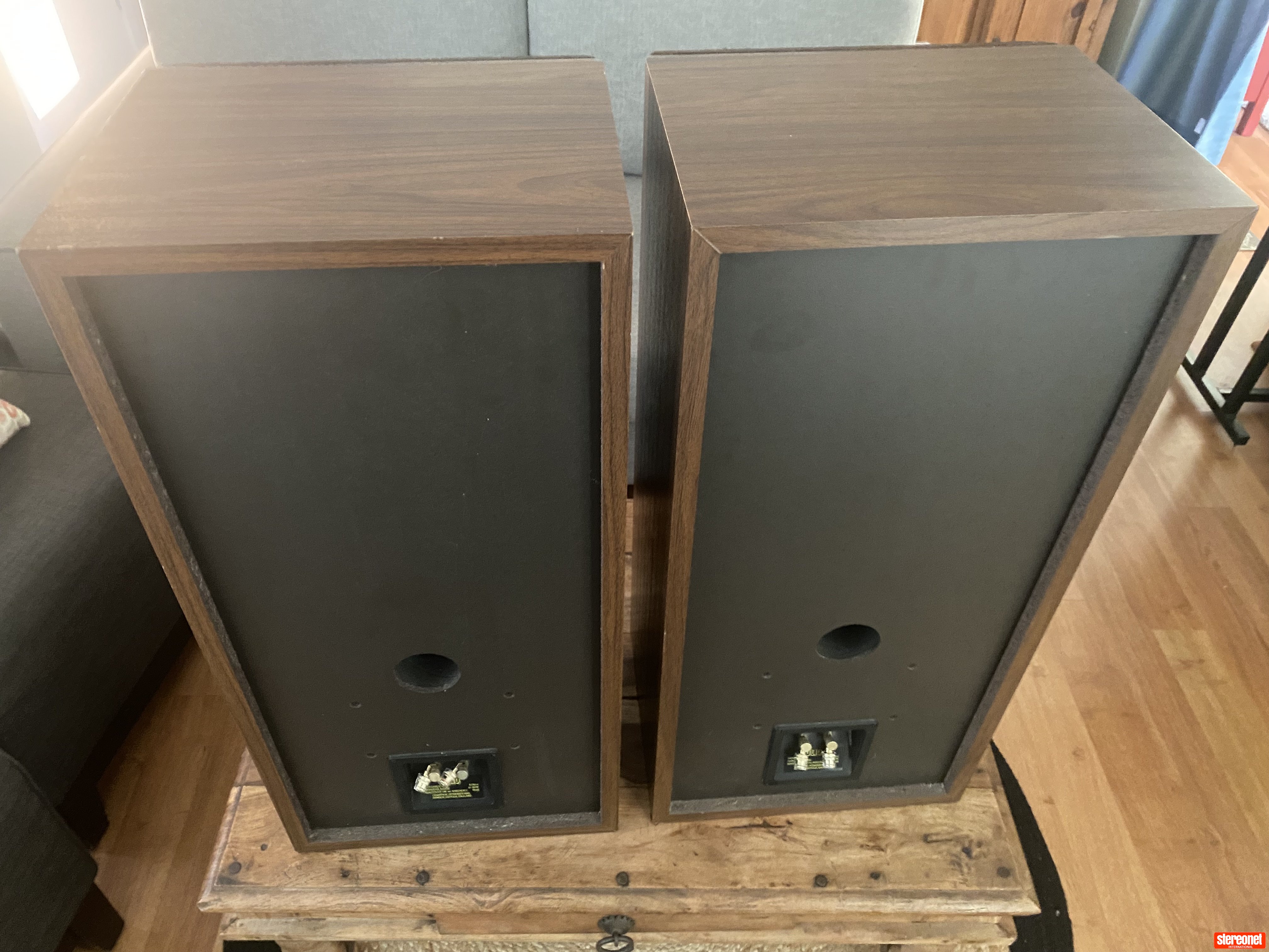 Celestion DL10 Bookshelf Loudspeakers - Bookshelf & Small Monitors ...