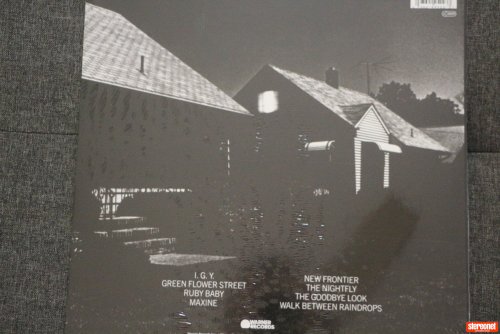 Donald Fagen-The Nightfly 2021 Remaster Vinyl Record (LP) - Vinyl ...