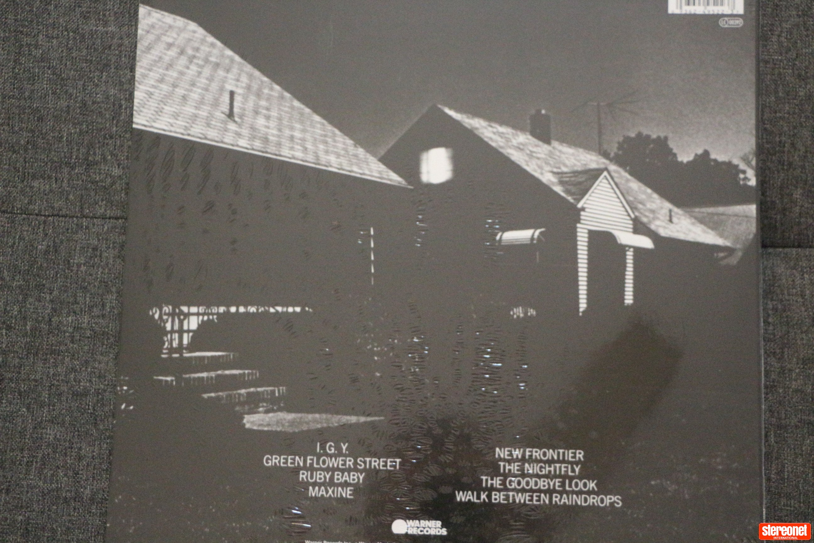 Donald Fagen-The Nightfly 2021 Remaster Vinyl Record (LP) |﻿ Vinyl Records