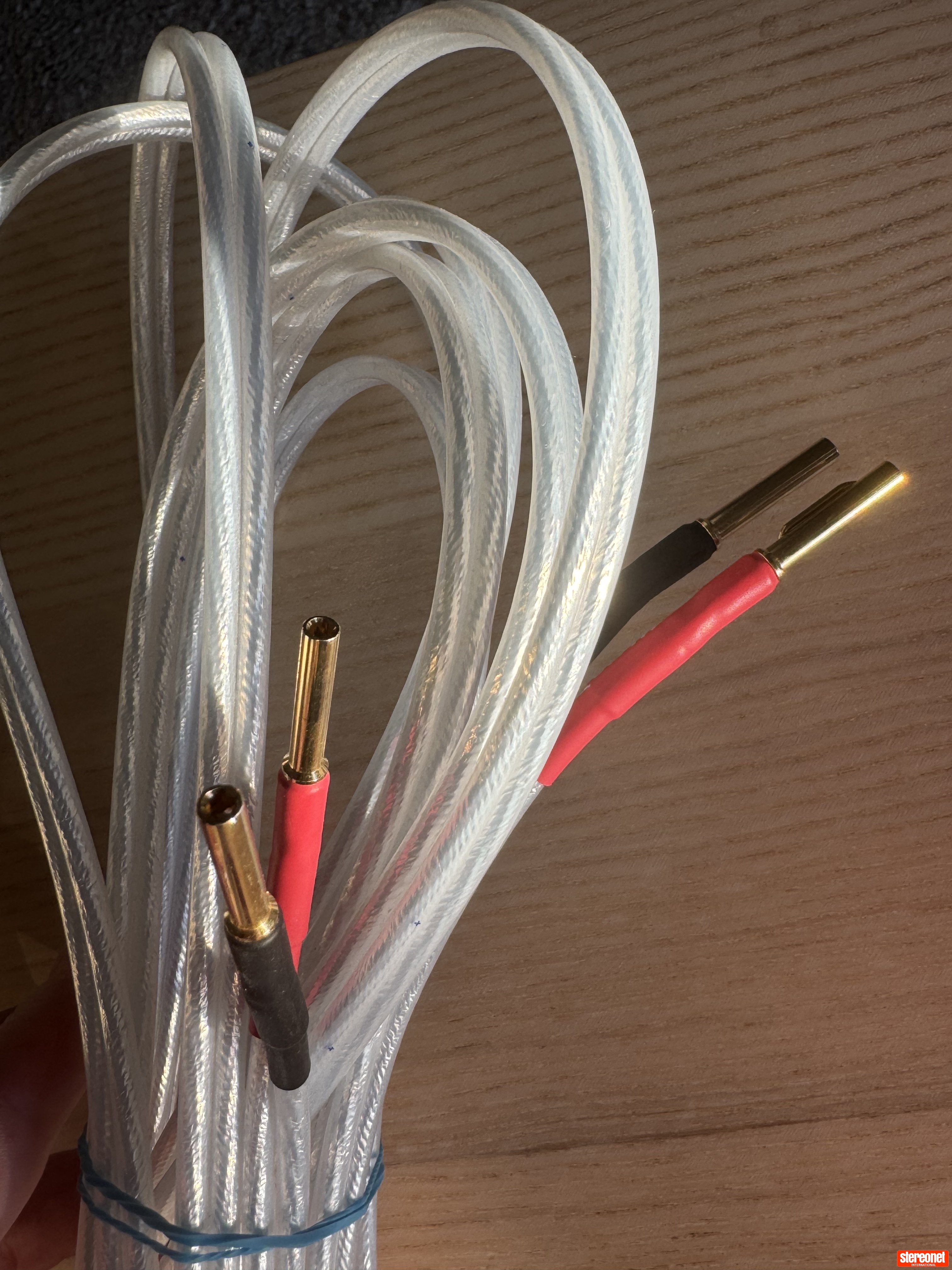 QED XT25 Speaker Cables - Speaker Cables - StereoNET