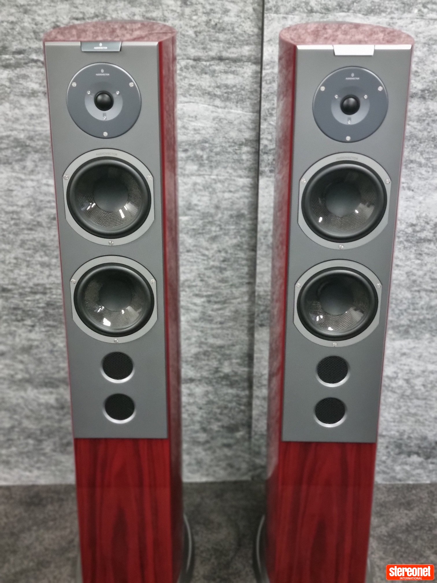 Audiovector R6 Signature Floorstanding Loudspeakers - Floorstanders ...