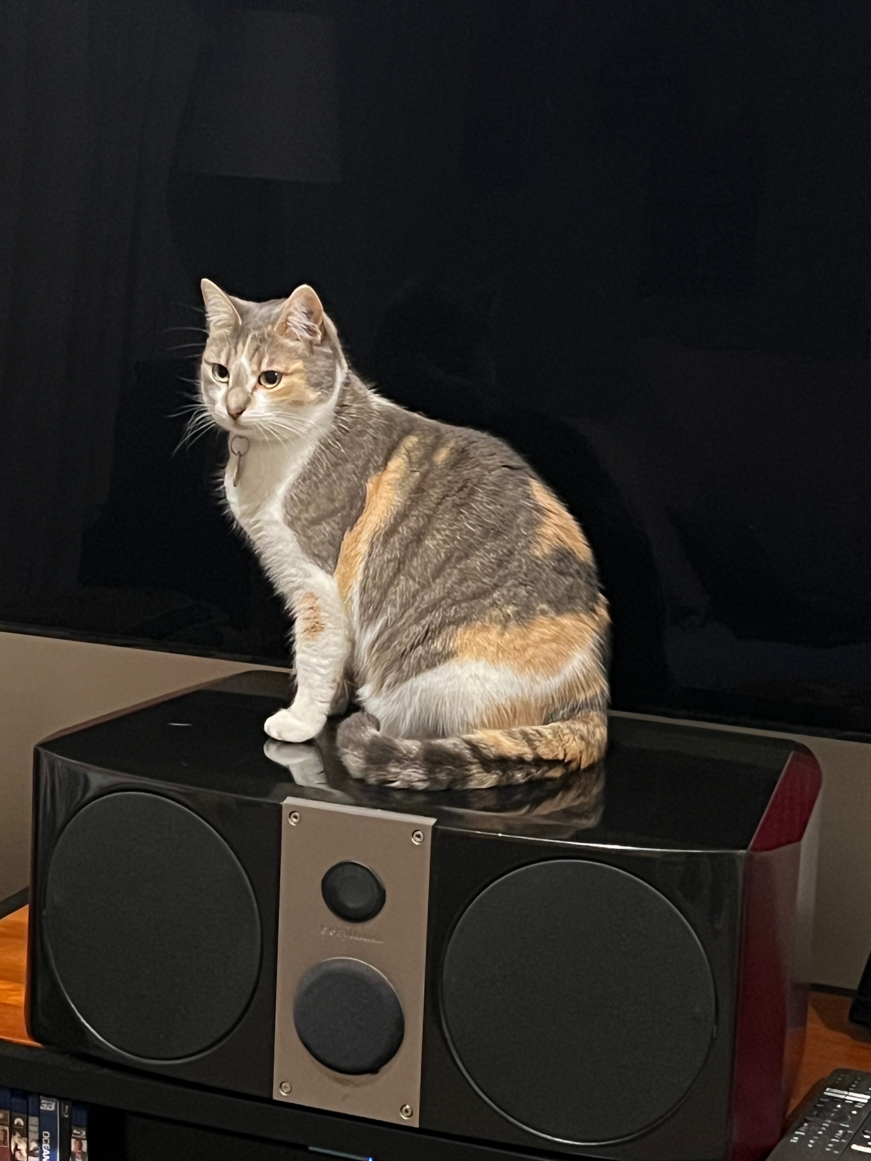 Where the Divas Sing - Page 33 - Showcase Your System & Build Threads ...