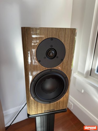Dynaudio Special Forty Bookshelf Loudspeakers - Bookshelf & Small ...
