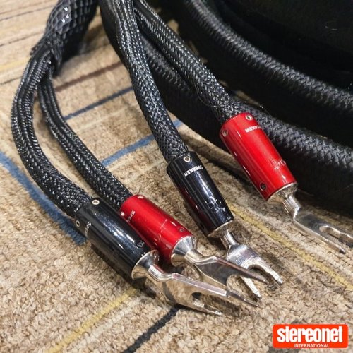 AudioQuest Dragon ZERO (Spade) 3M Pair Speaker Cables - Speaker Cables ...