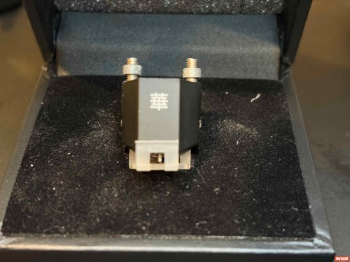 Hana Cartridges SH Phono Cartridge (MC) - Phono Cartridges - StereoNET